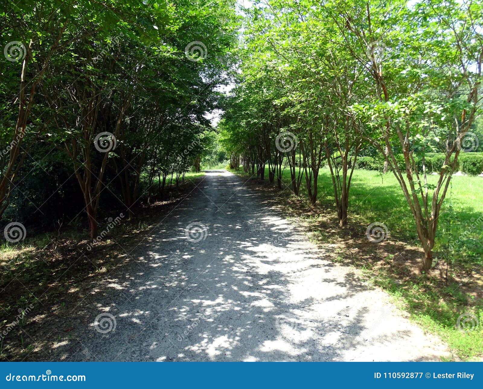 A pathway through a park stock image. Image of pathway - 110592877