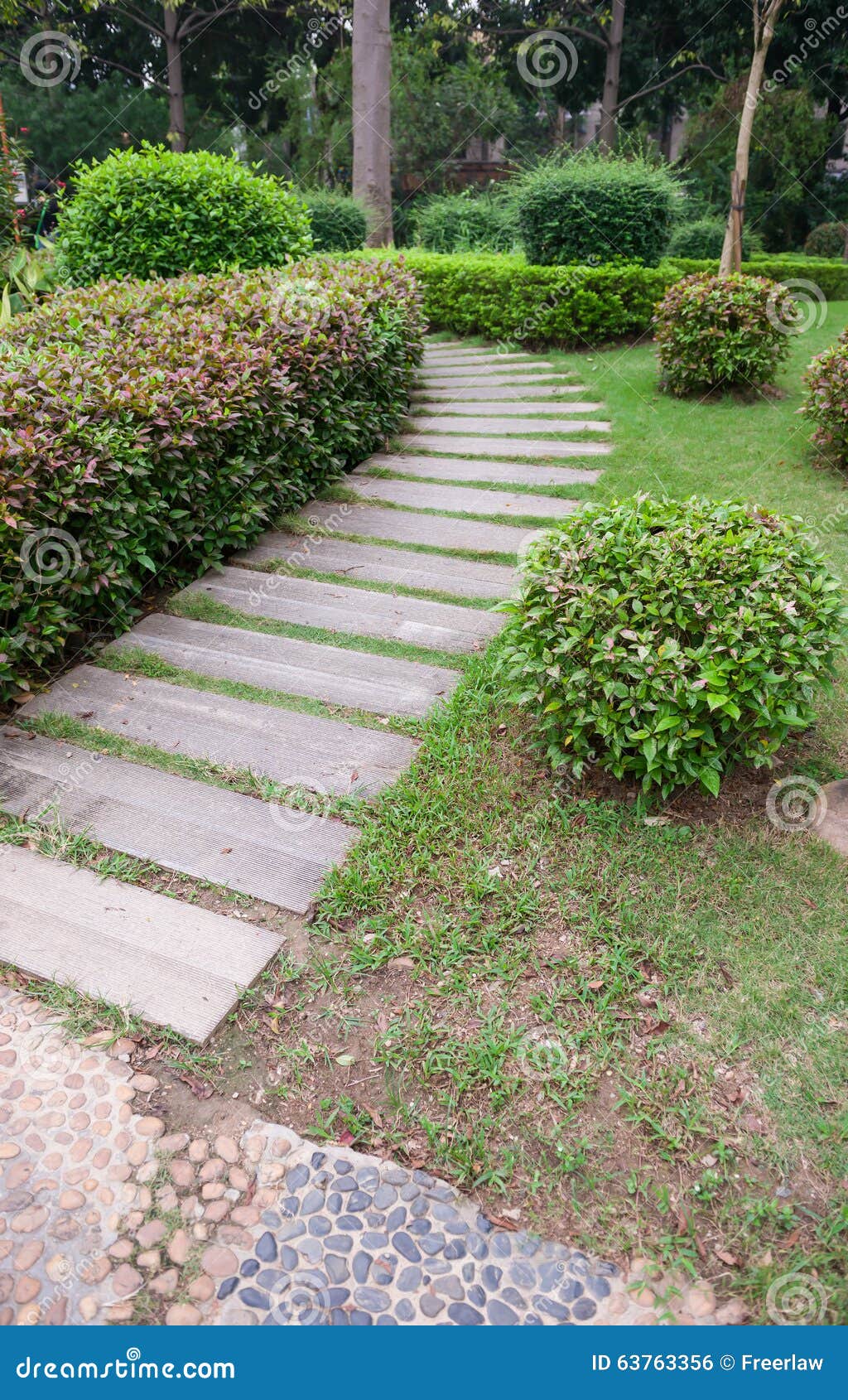 Pathway in a park stock photo. Image of park, footpath - 63763356
