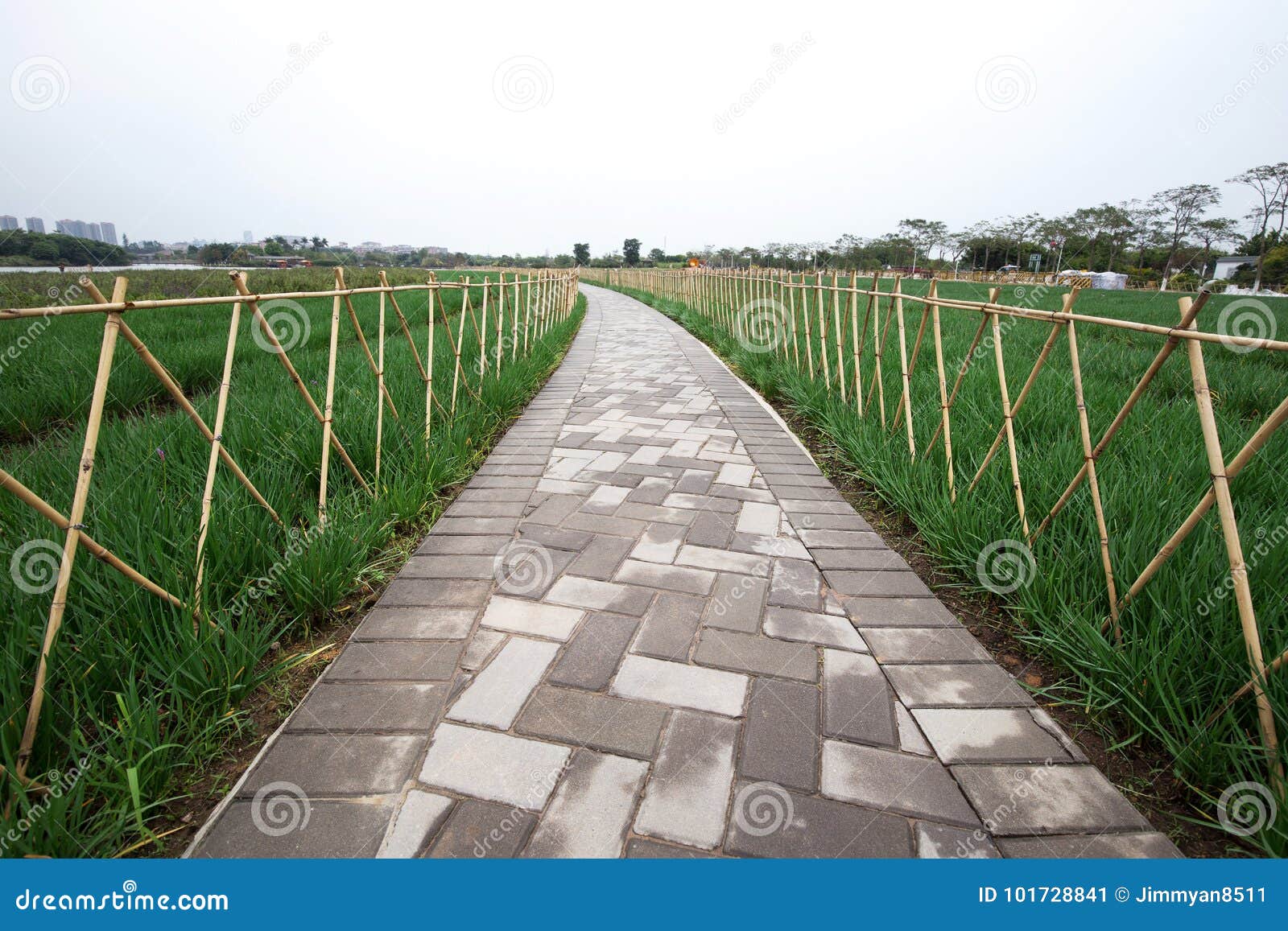 Pathway stock image. Image of path, field, pathway, grass - 101728841