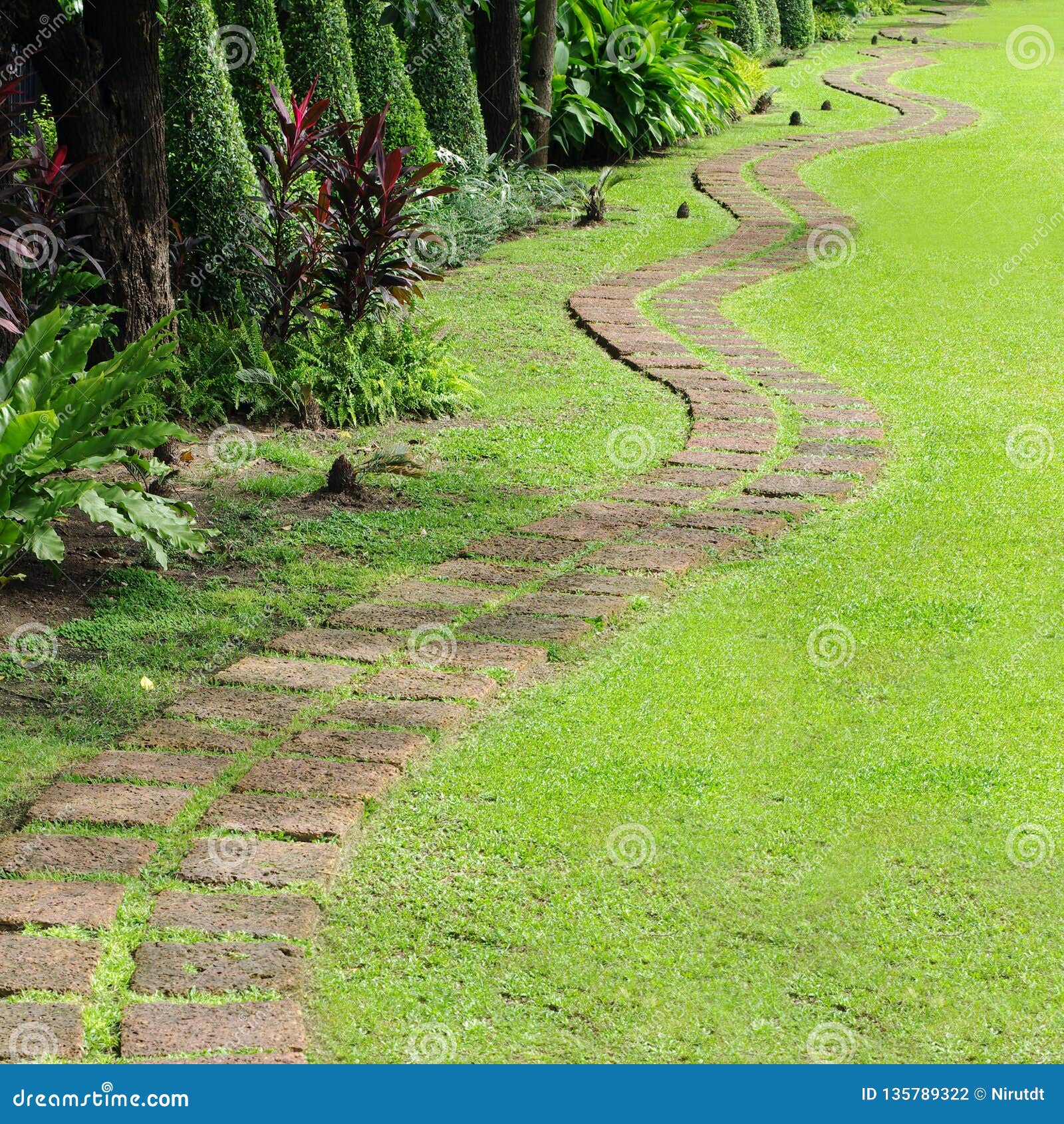 Pathway stock photo. Image of direction, formal, landscape - 135789322