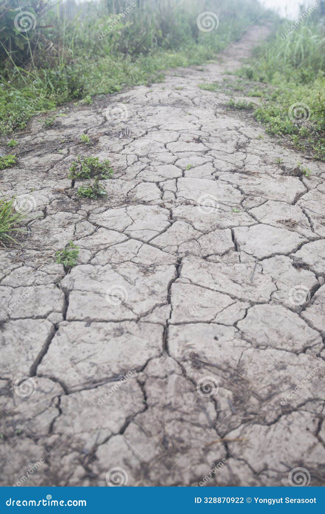 Pathway Pattern Of Pave Brick Rectangular Background Royalty-Free Stock ...