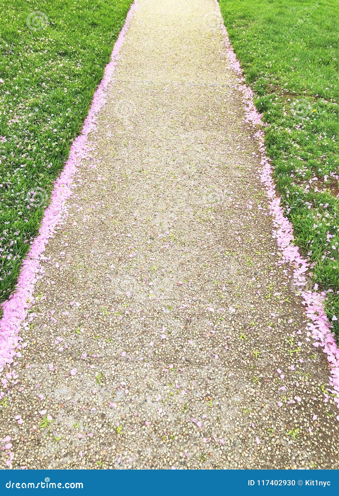Pathway Pink Foliage Royalty-Free Cartoon | CartoonDealer.com #328656347