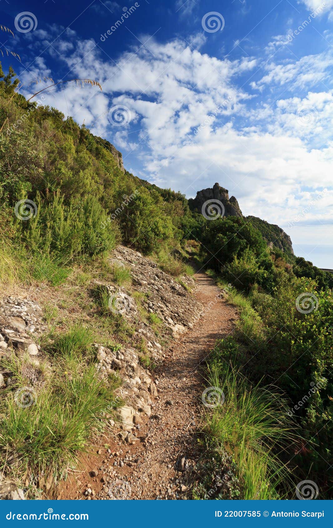 Pathway in Portofino Mount, Italy Stock Image - Image of nature, grass ...