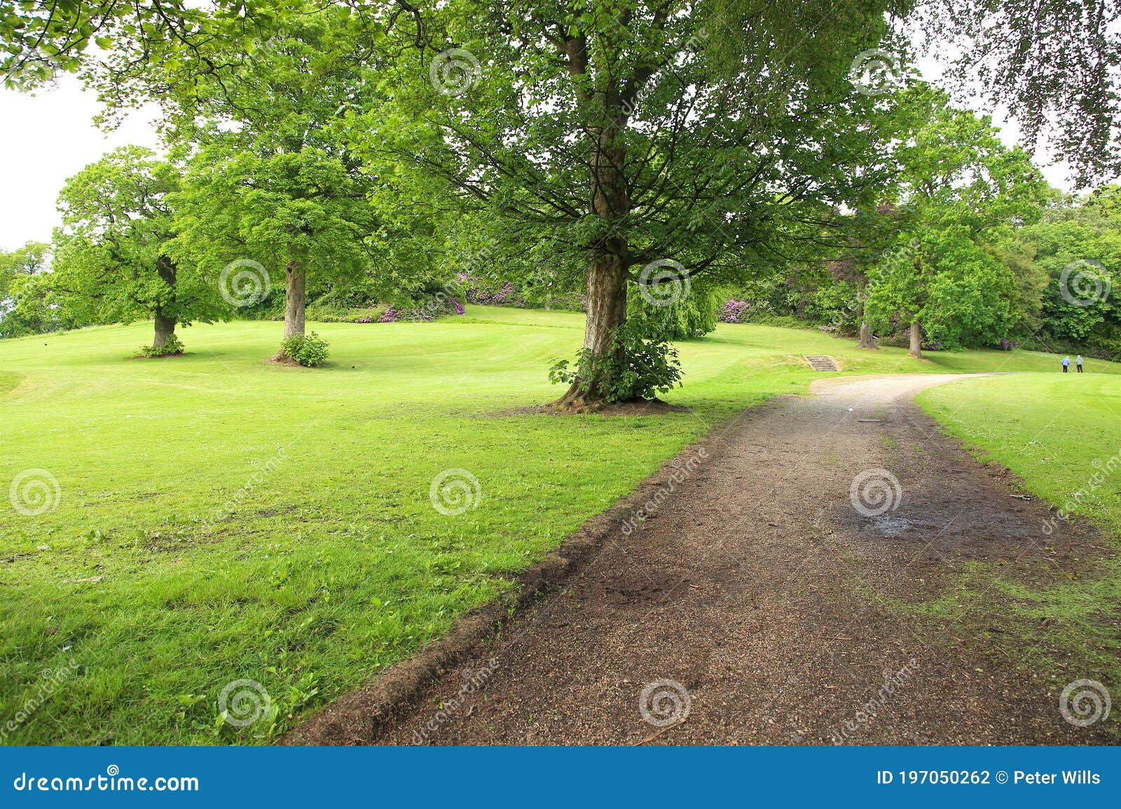 Pathway in the public park stock photo. Image of peaceful - 197050262