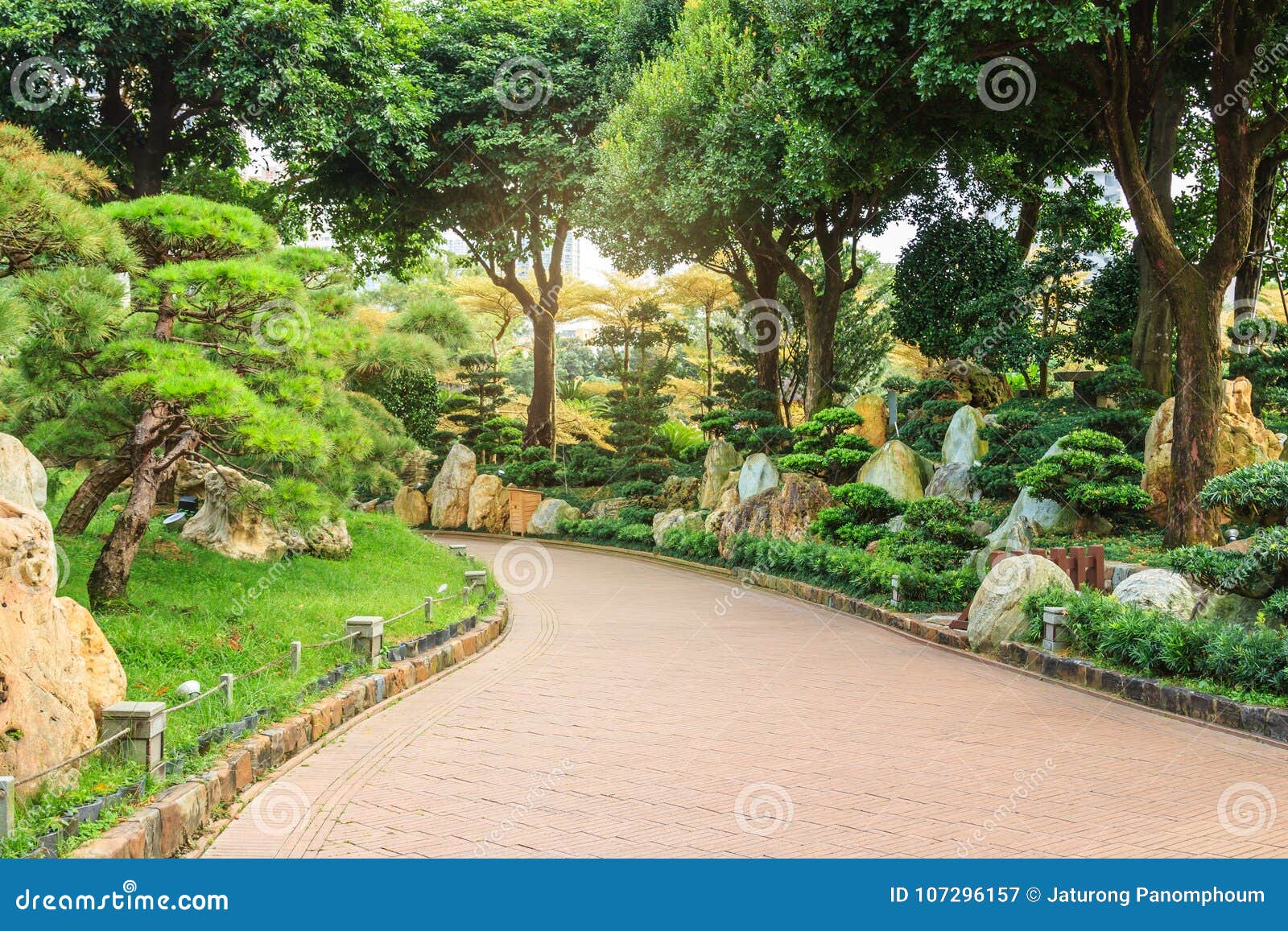 Pathway in public park stock image. Image of forest - 107296157