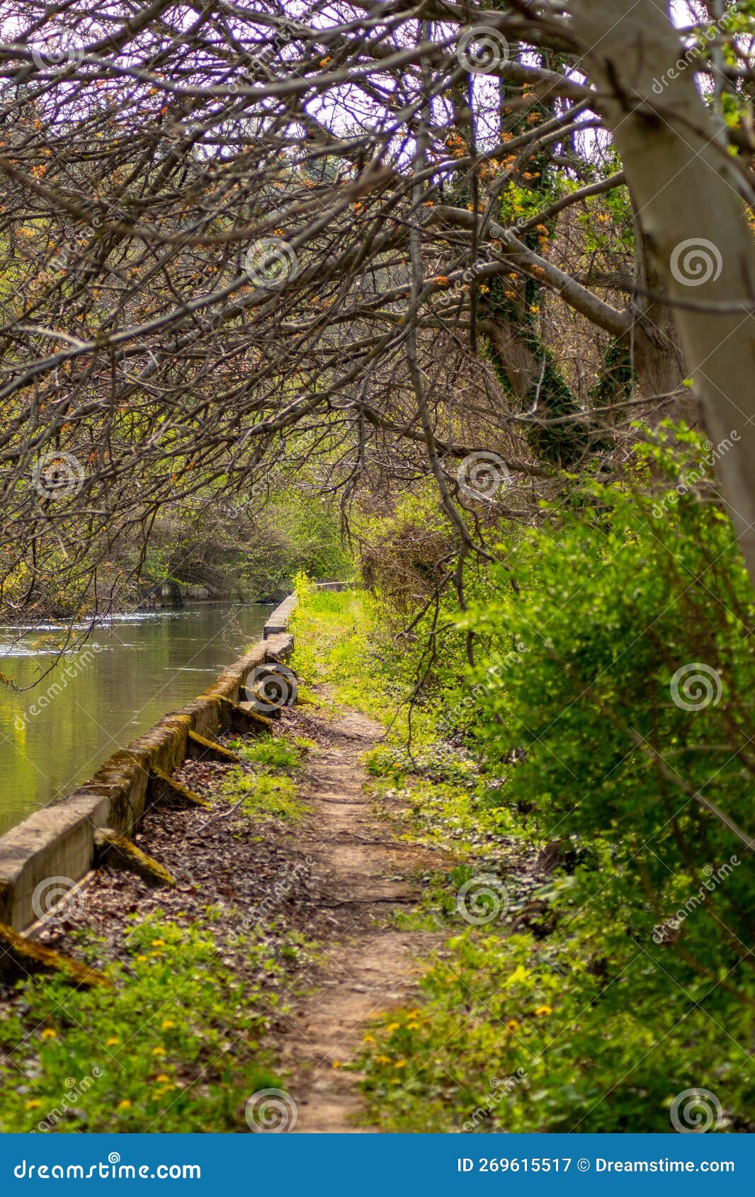 Pathway by the River Channel Stock Image - Image of leafs, path: 269615517