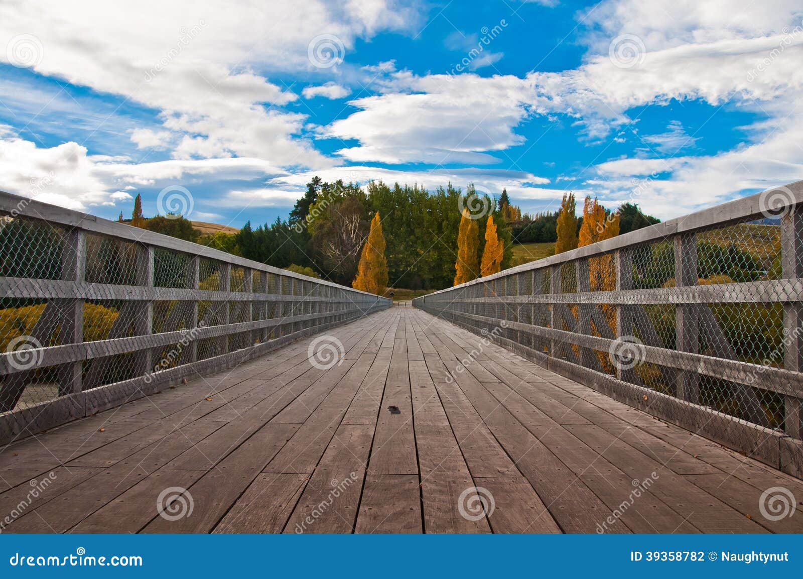 Pathway road stock photo. Image of road, bush, curve - 39358782