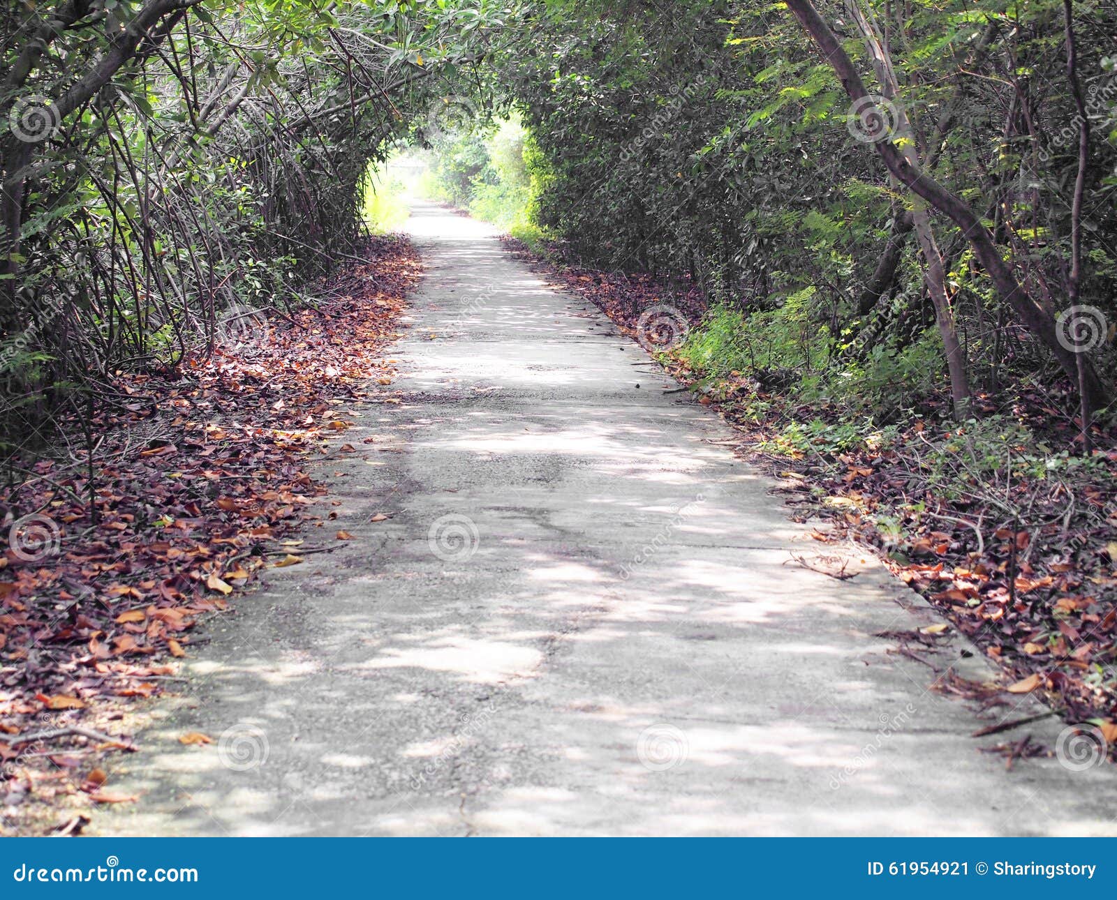 Pathway stock image. Image of cement, track, rock, countryside - 61954921