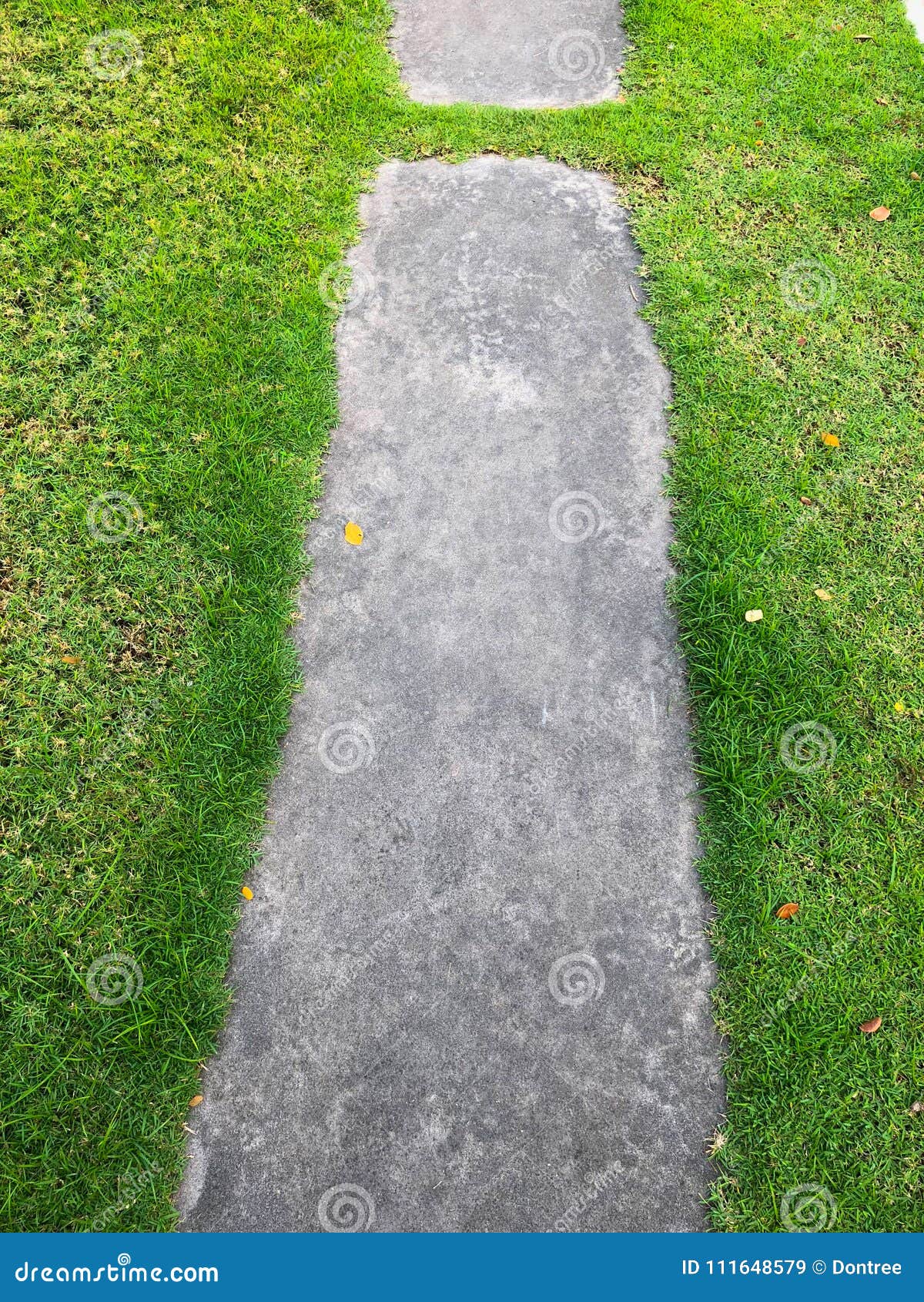 Pathway with Rock and Grass in a Garden Stock Image - Image of footpath ...