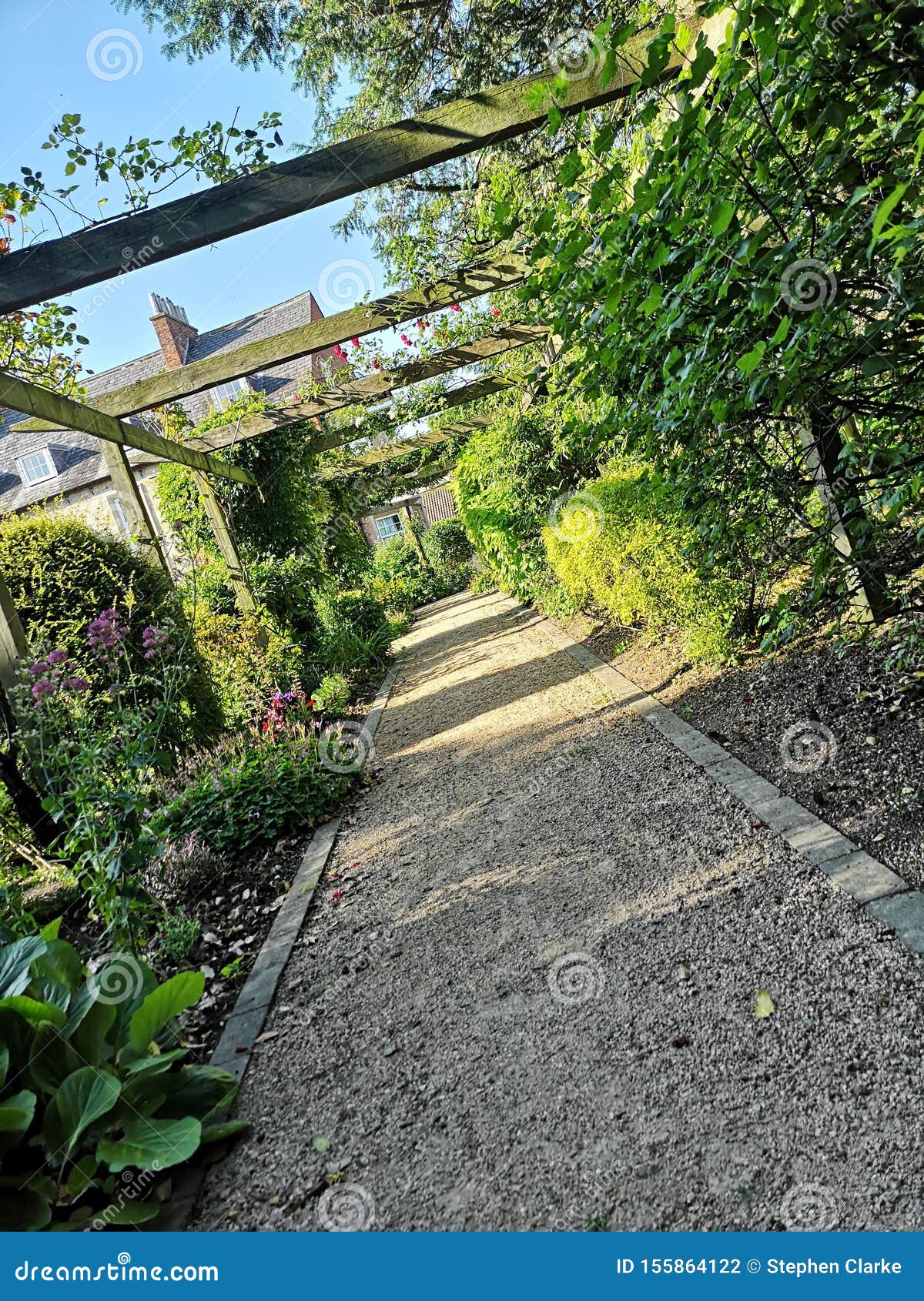 Pathway through Rose Arbor stock photo. Image of arbor - 155864122