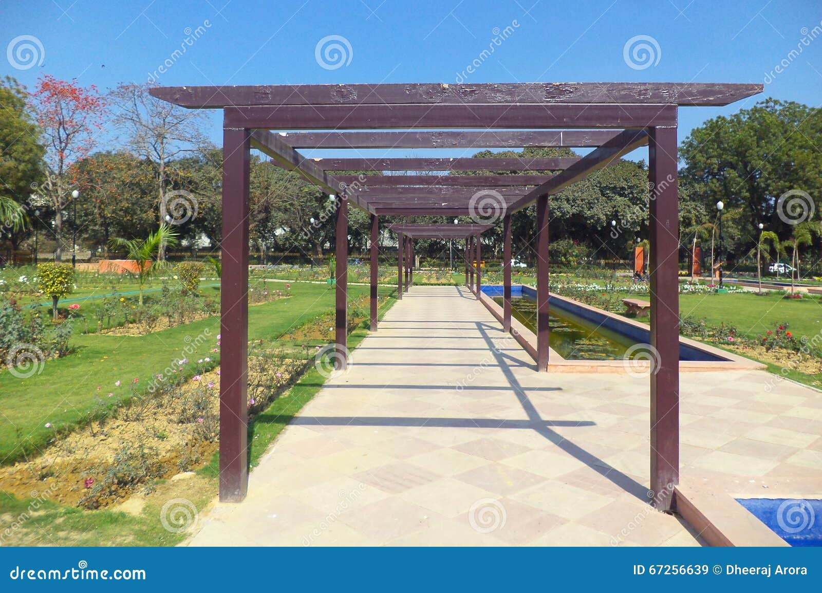 Pathway in Rose Garden, New Delhi Stock Image - Image of greenery ...