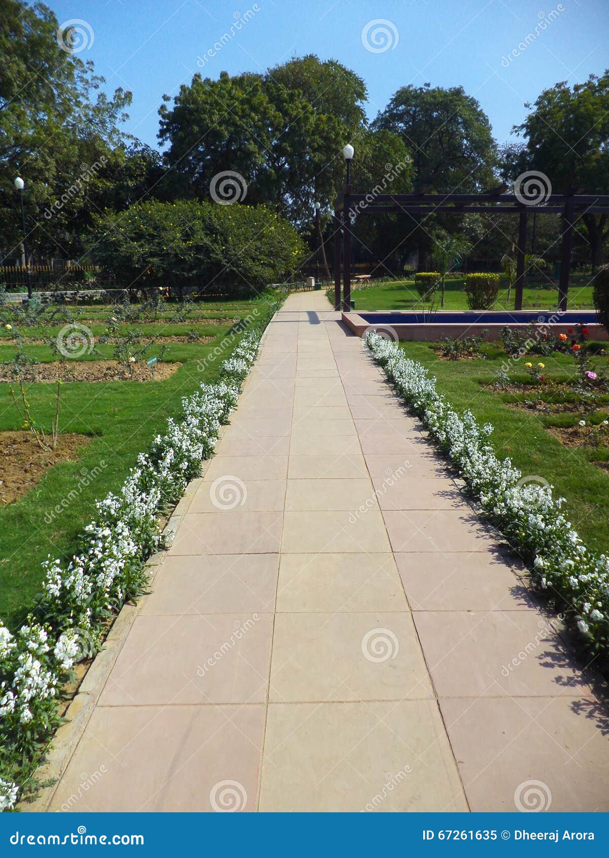 Pathway in Rose Garden, New Delhi Stock Image - Image of india ...