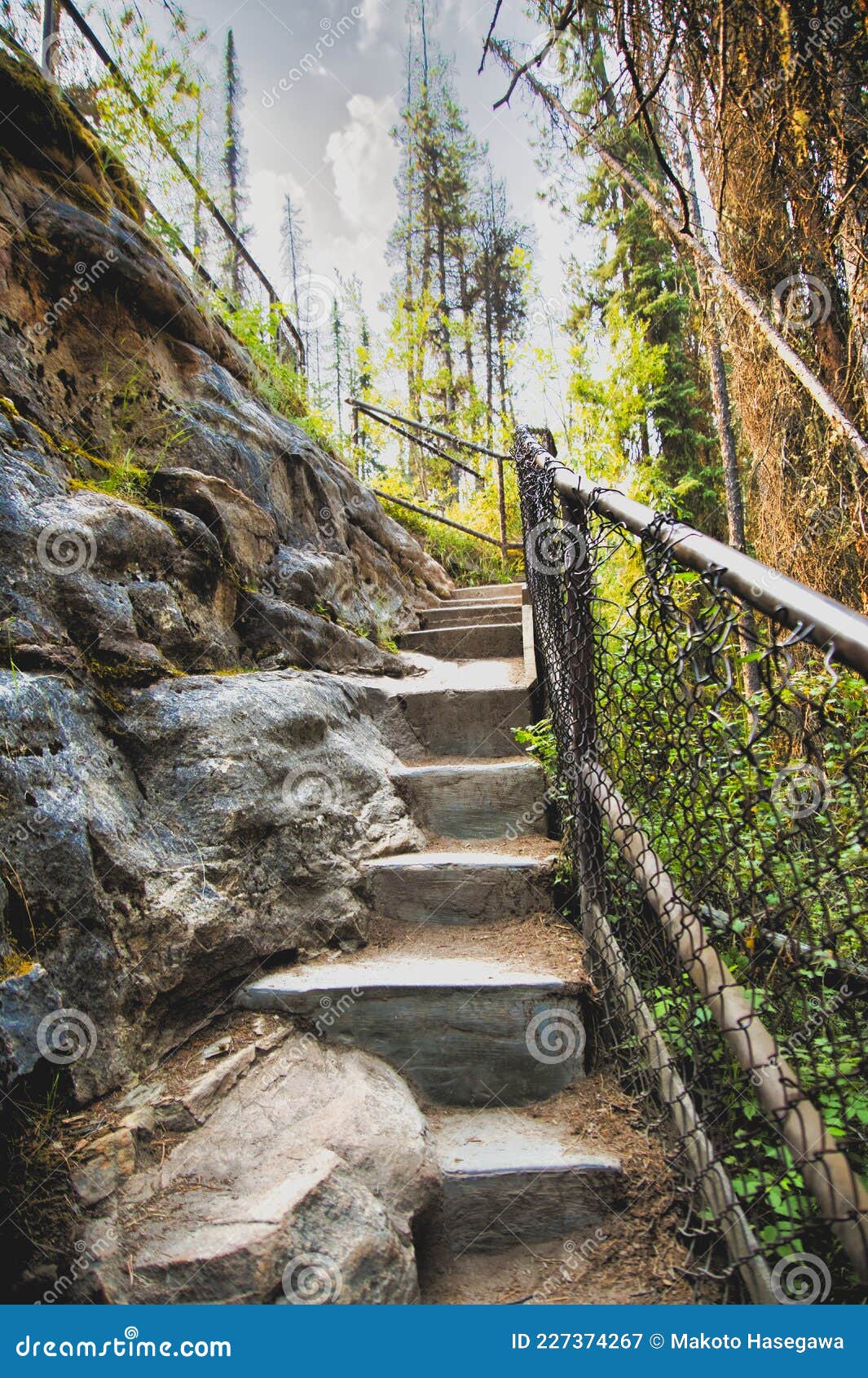 The Pathway Section of Athabasca Falls. Jasper AB Canada Stock Image ...