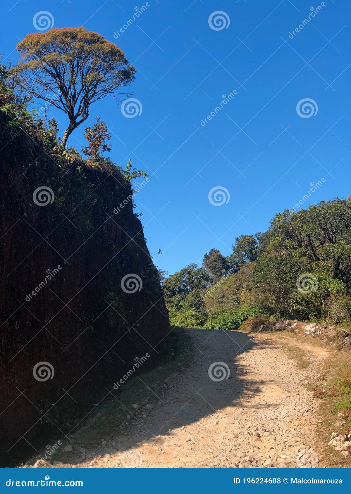 Pathway in shade and light stock photo. Image of blue - 196224608