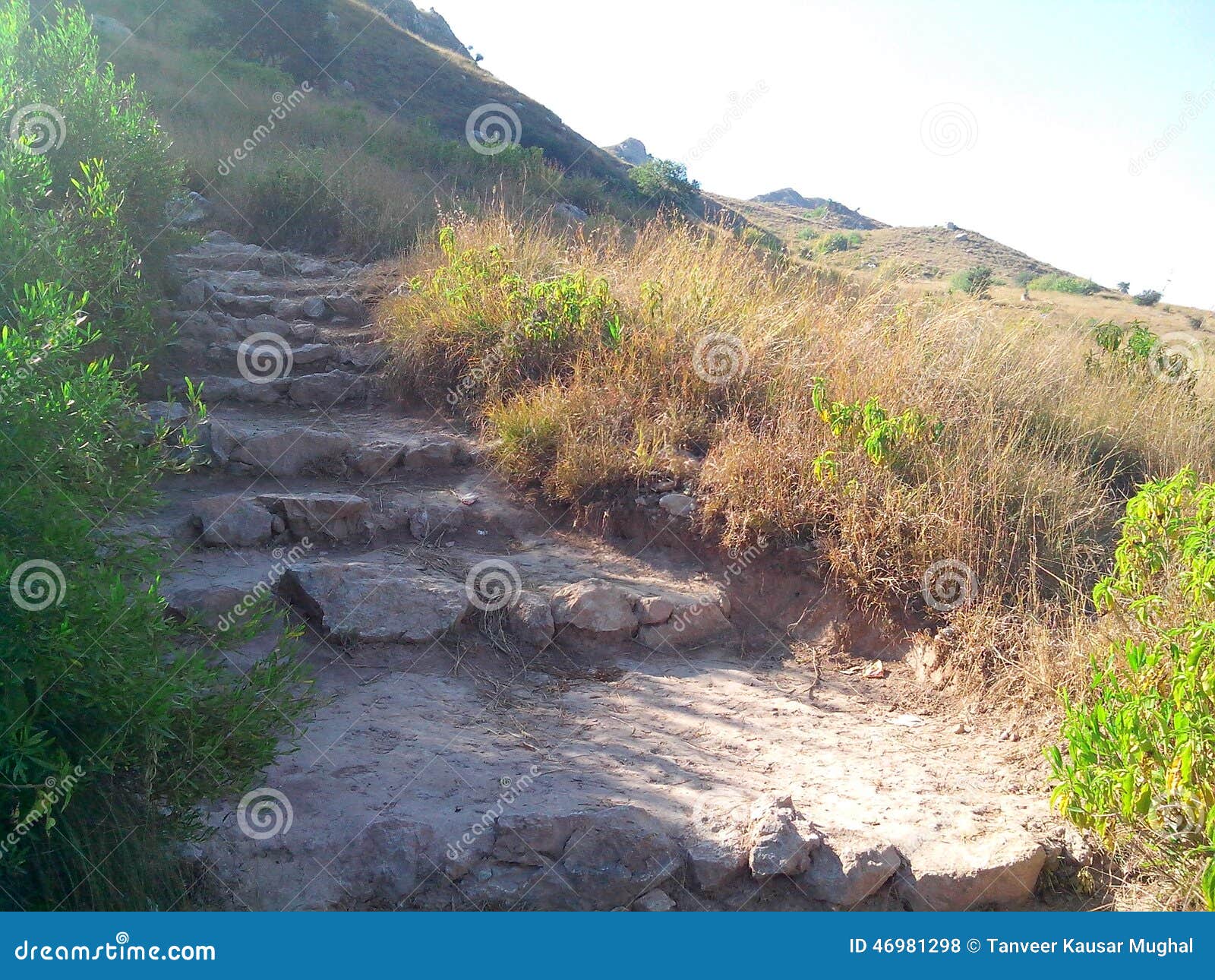 Pathway on the Side of a Hill Stock Photo - Image of landscape, pathway ...