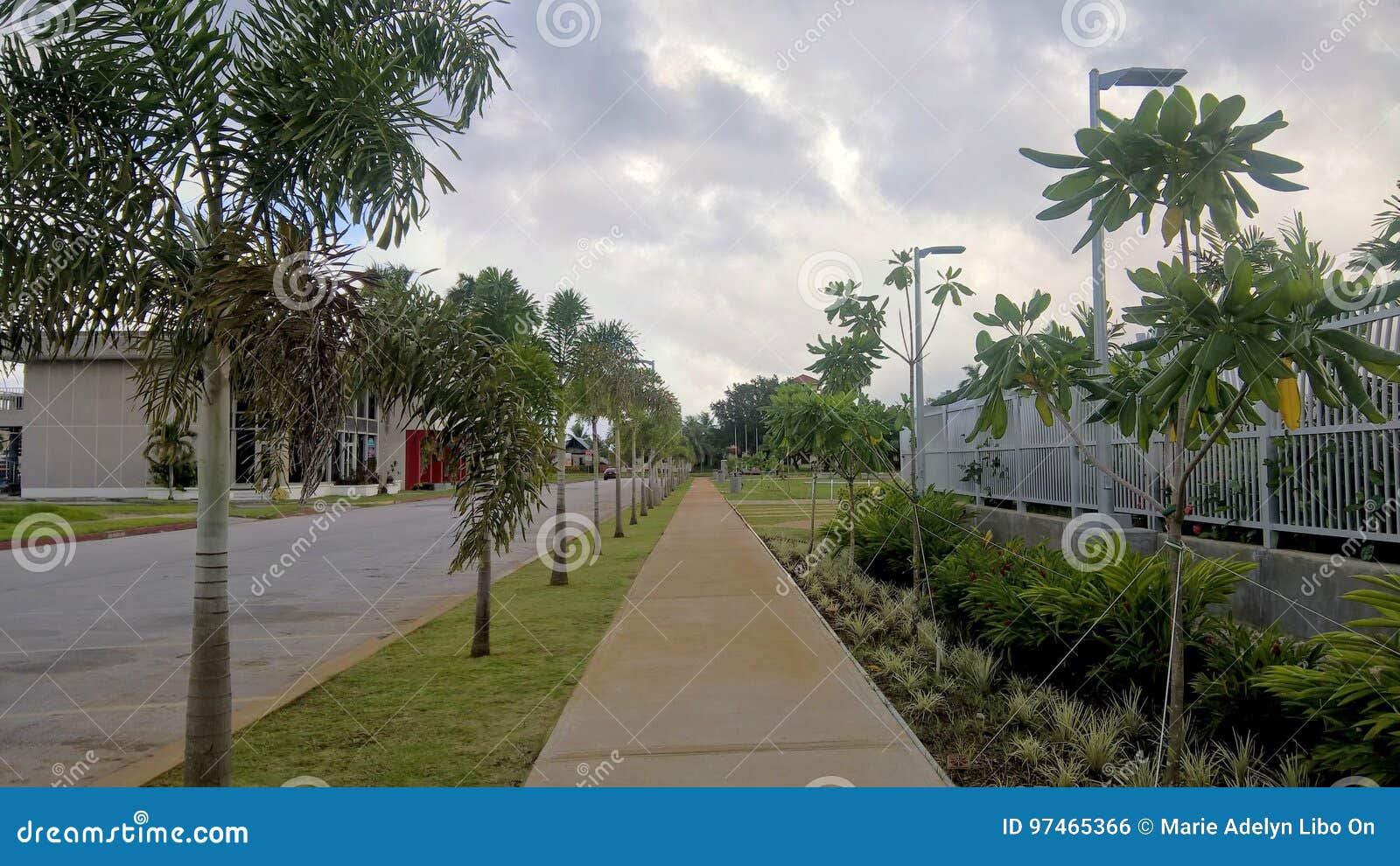 Pathway Sidewalk with Trees Stock Photo - Image of side, sidewalk: 97465366