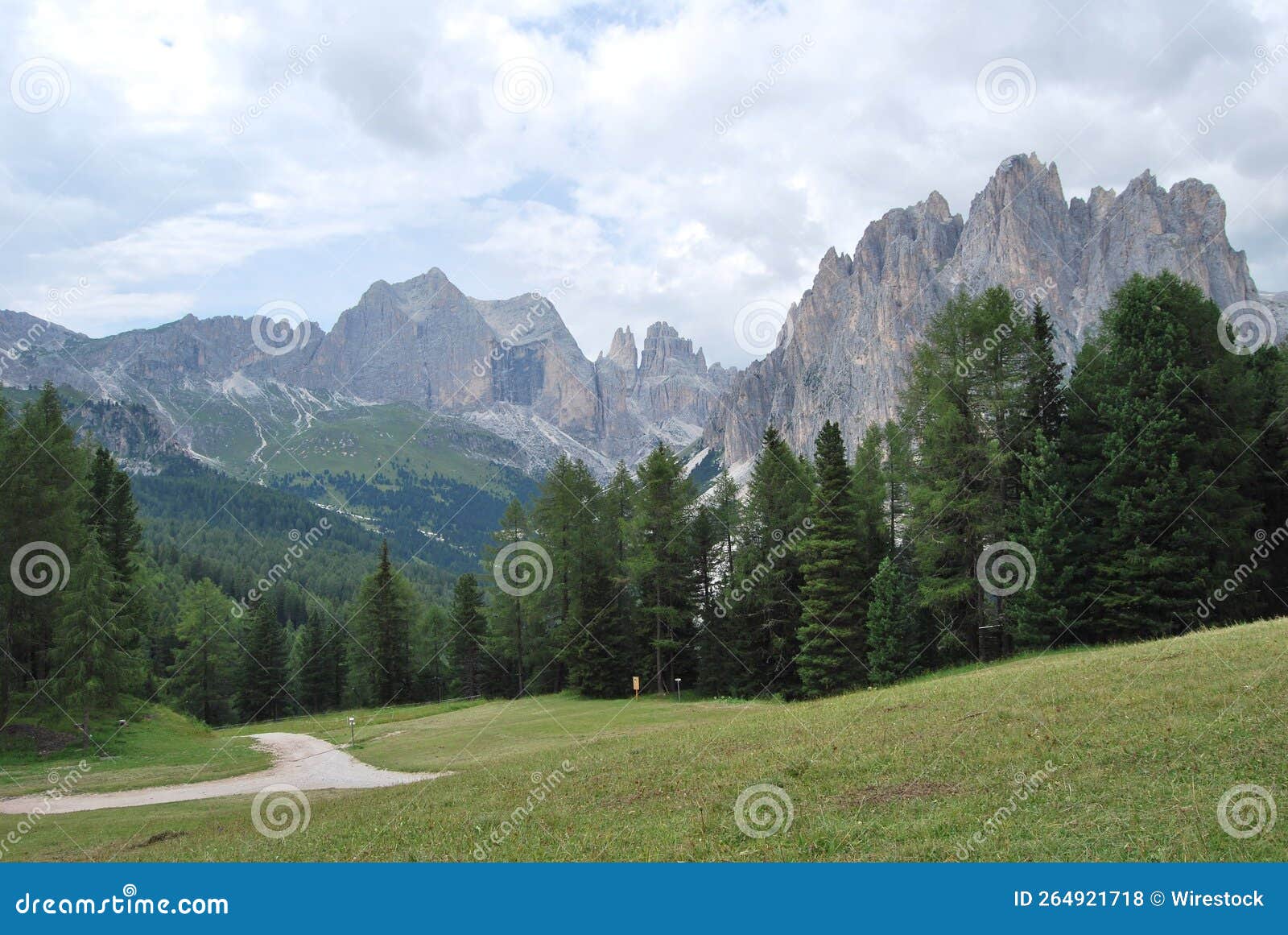 Pathway on a Slope with Trees before the Mountains Under the Cloudy Sky ...