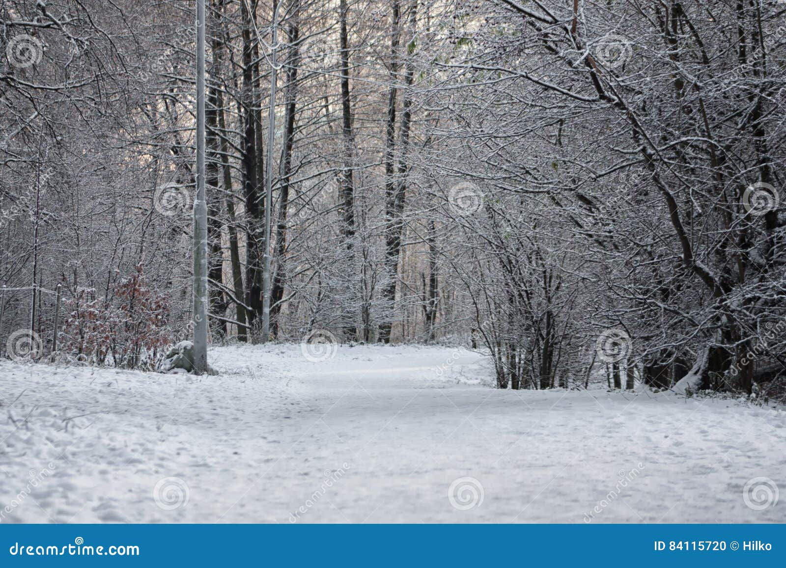 Pathway in the snow stock photo. Image of light, weather - 84115720
