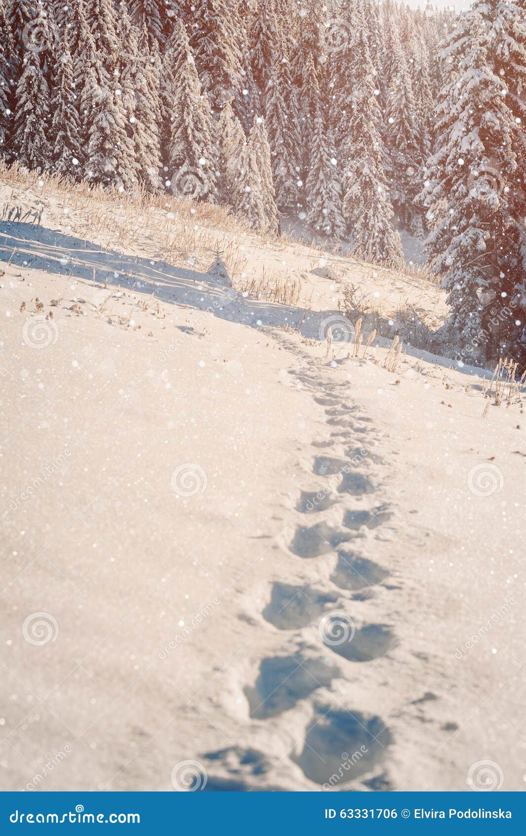 Pathway in the snow stock photo. Image of design, downhill - 63331706