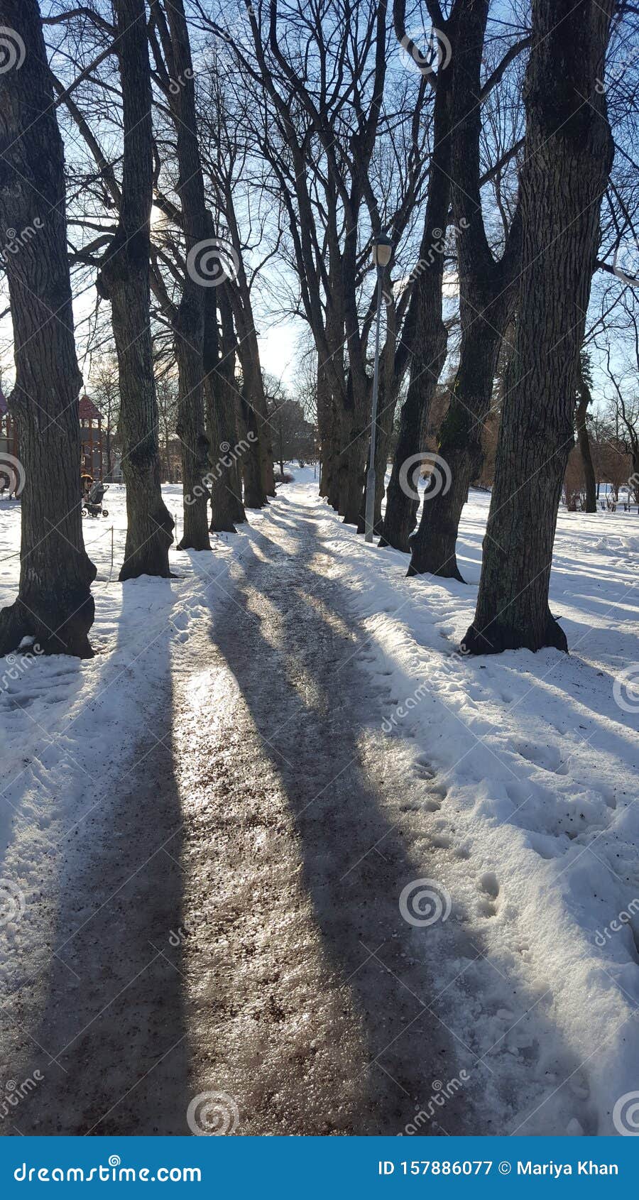 Pathway of snow stock image. Image of sunny, trees, long - 157886077