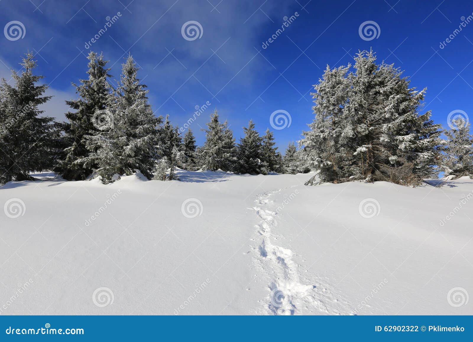 Pathway on snow stock photo. Image of path, nature, christmas - 62902322