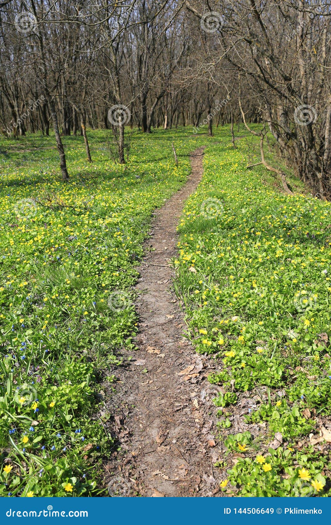Pathway On Spring Flowers Meadow Royalty-Free Stock Photo ...