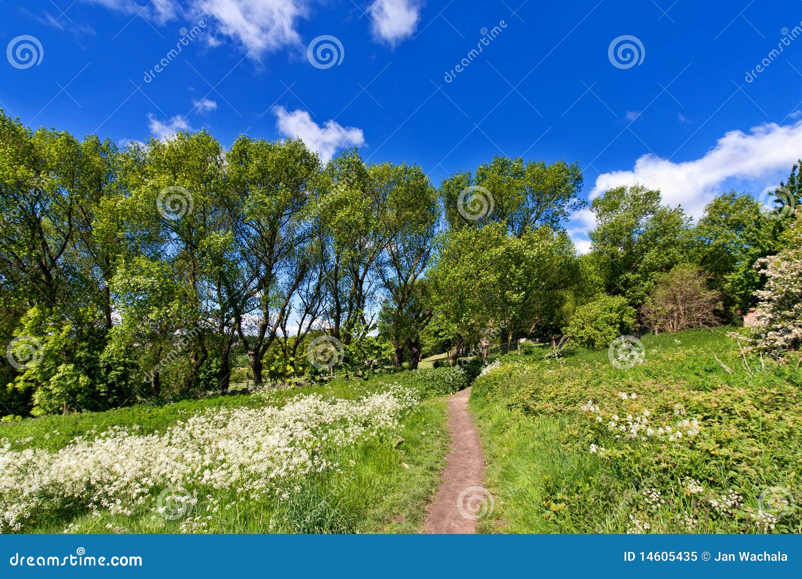 Pathway in spring park stock image. Image of natural - 14605435
