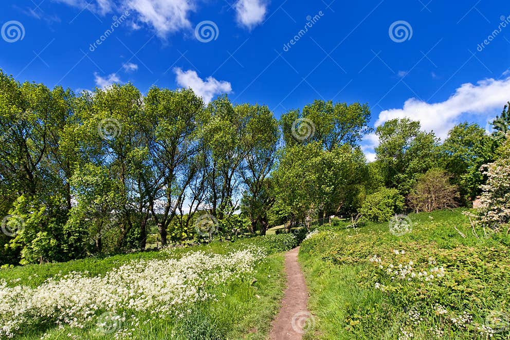 Pathway in spring park stock image. Image of natural - 14605435