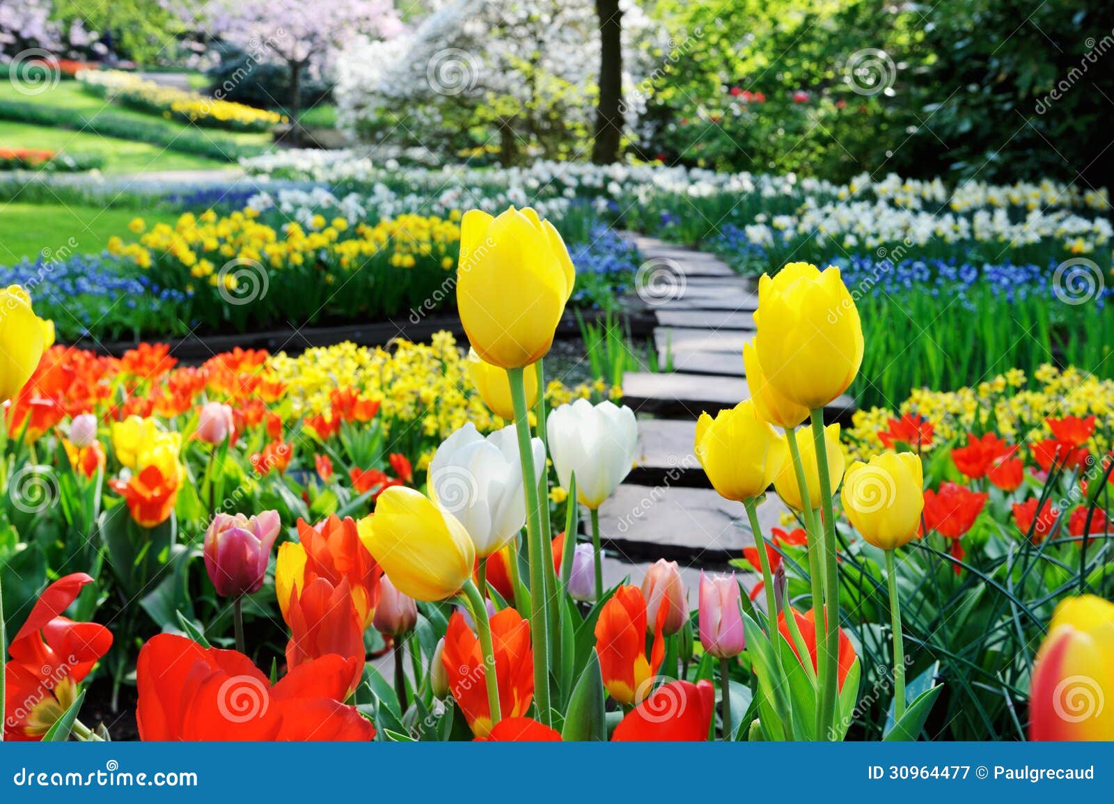Pathway in spring park stock image. Image of gardening - 30964477