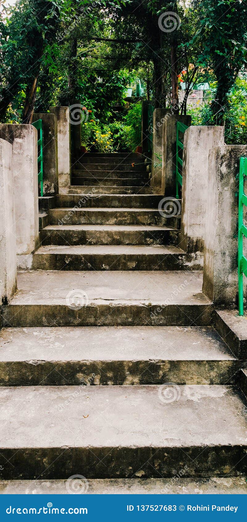 A pathway stock image. Image of pathway, ladder, step - 137527683