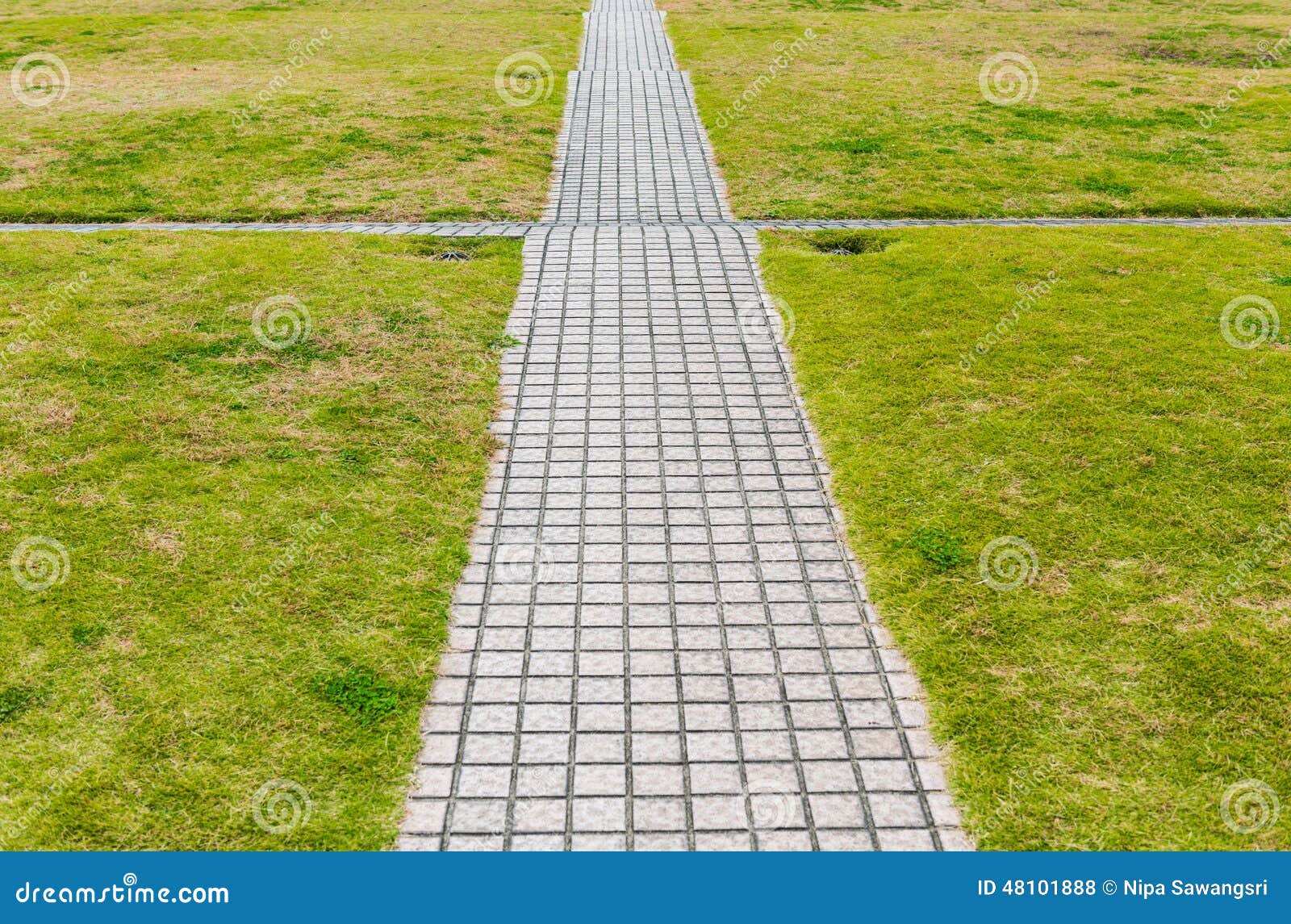 Pathway Stepped on the Lawn Stock Photo - Image of plant, nature: 48101888