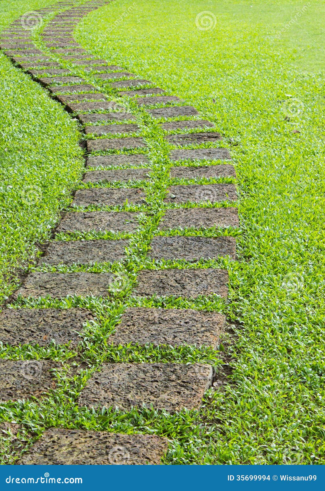Pathway of Stone Bricks on Grass. Stock Photo - Image of natural ...