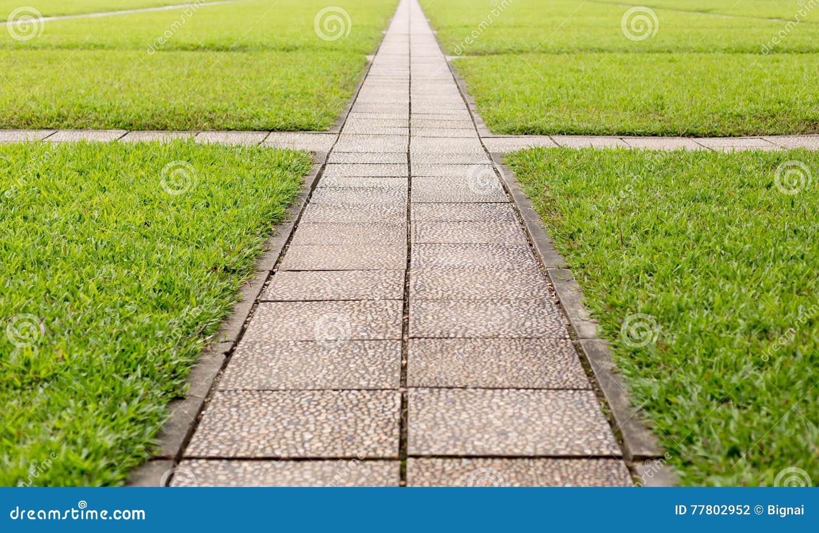 Pathway Stone Stock Photography | CartoonDealer.com #39043208