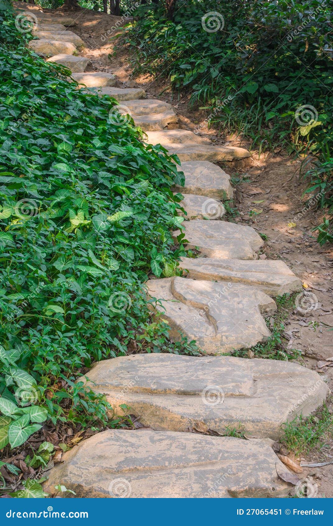 Pathway with stones stock image. Image of path, garden - 27065451