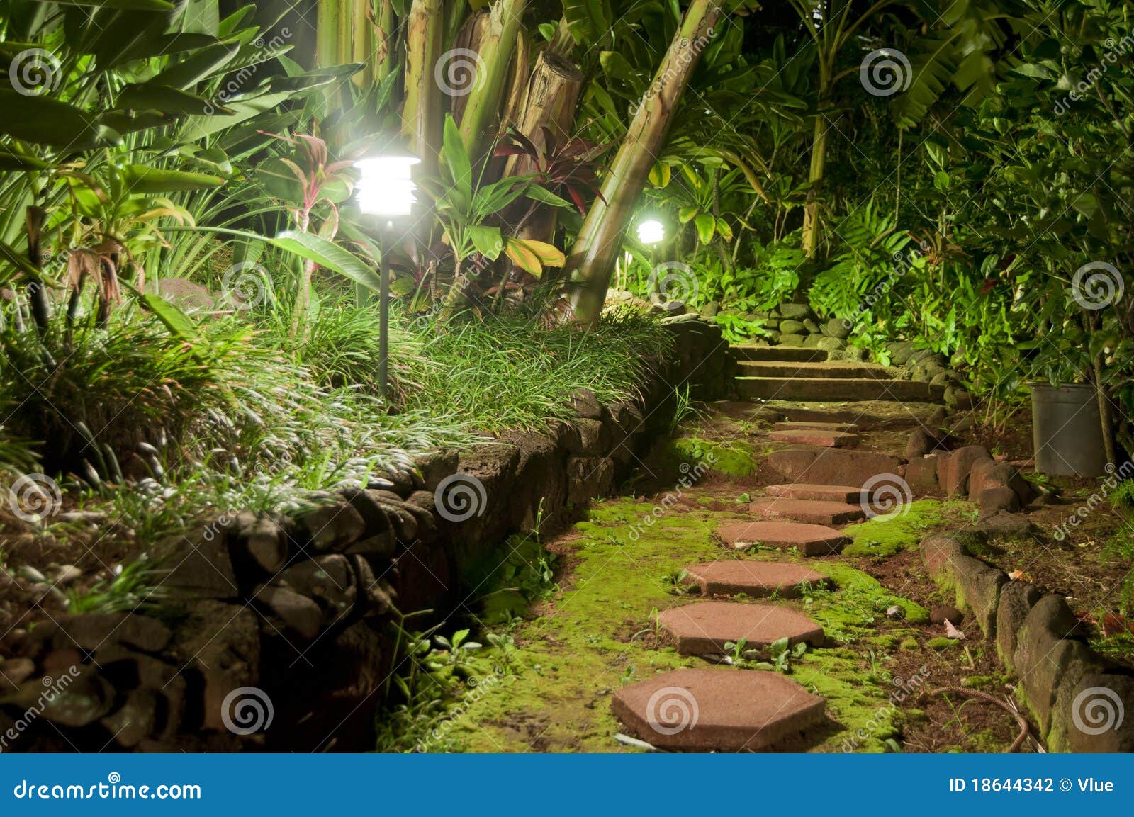 Pathway Stones in a Night Garden Stock Photo - Image of landscape ...