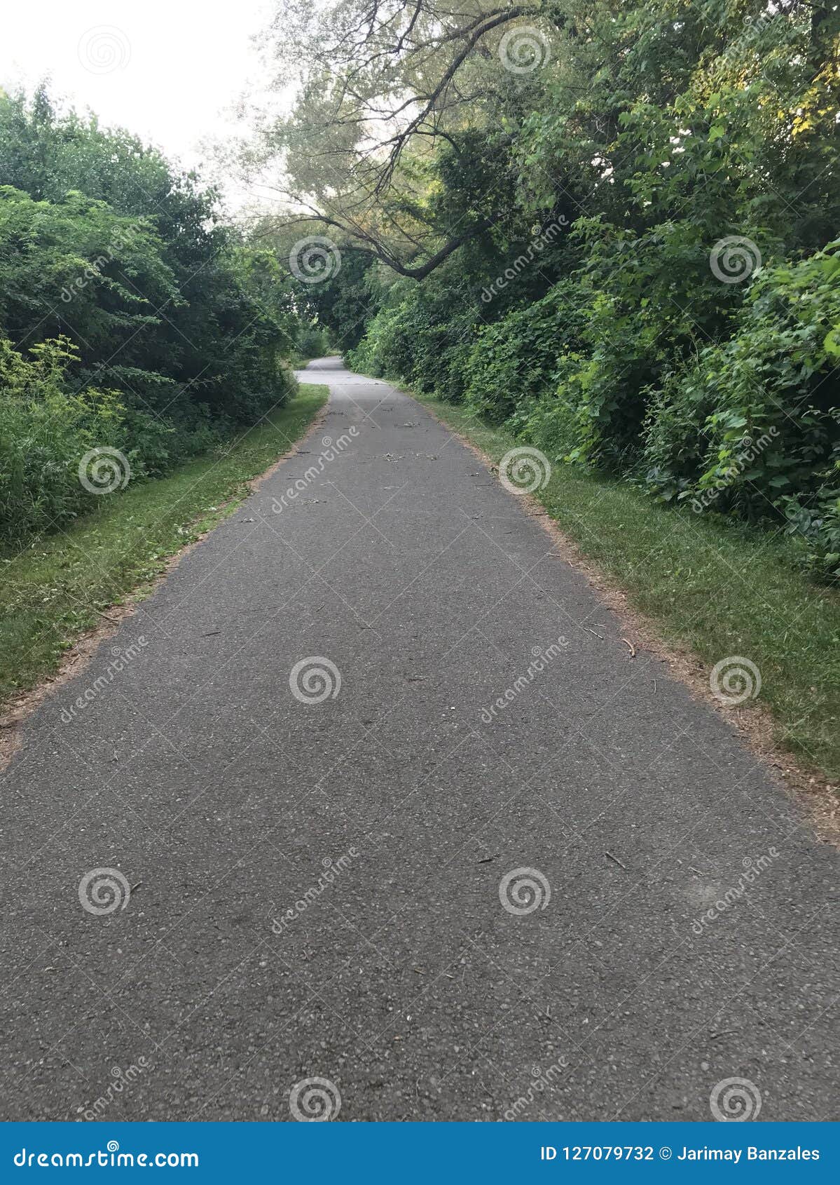 Pathway stock photo. Image of good, straight, road, pathway - 127079732