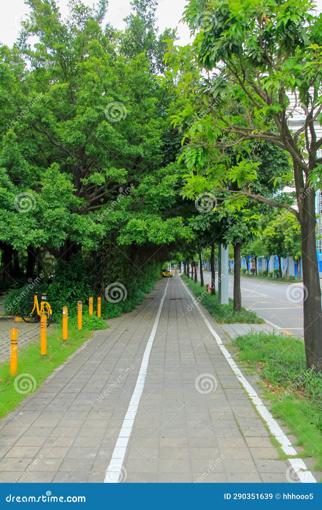 The Pathway on the Street with Trees. Stock Image - Image of landmark ...