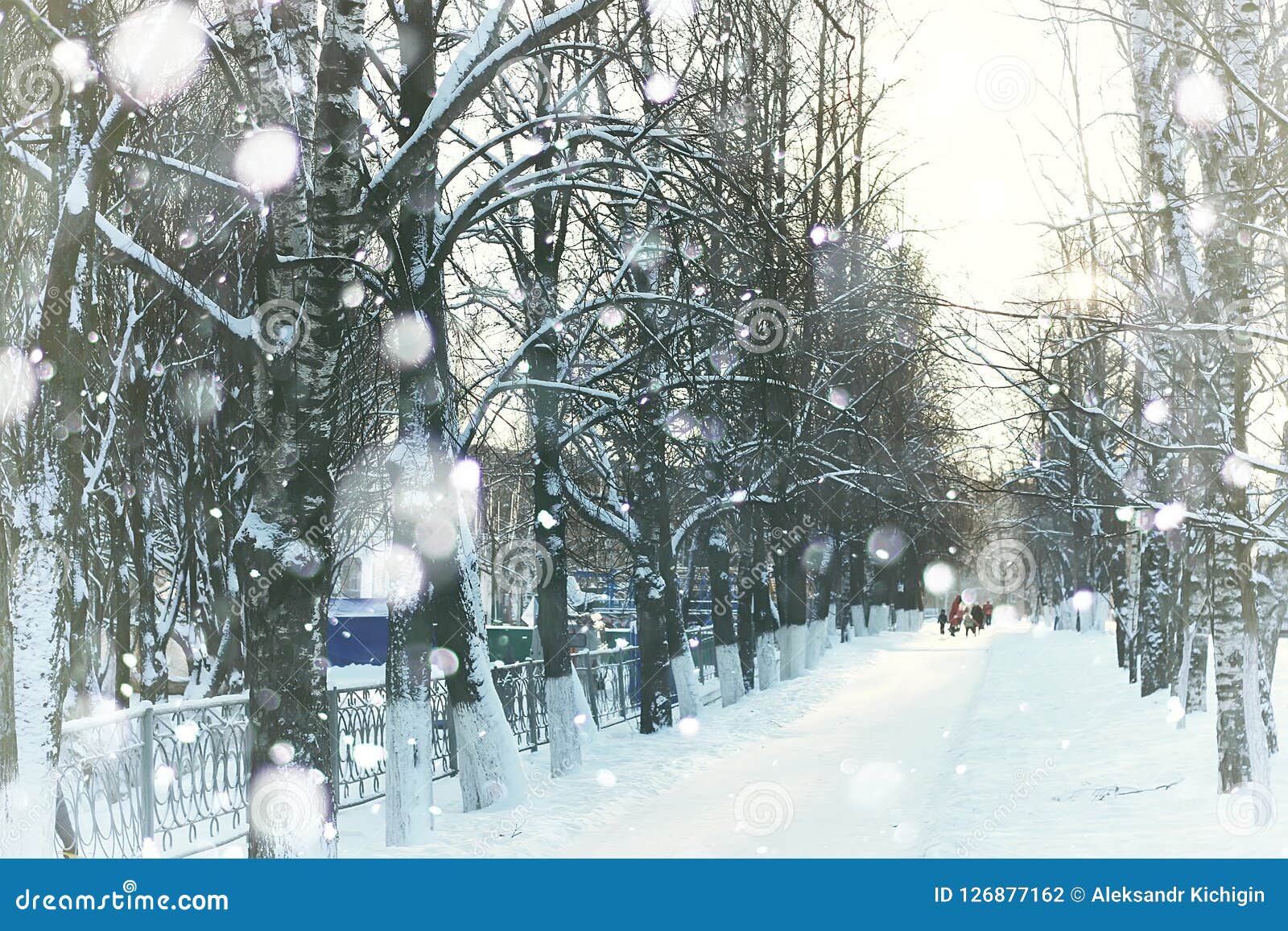 Pathway street winter snow stock photo. Image of blue - 126877162