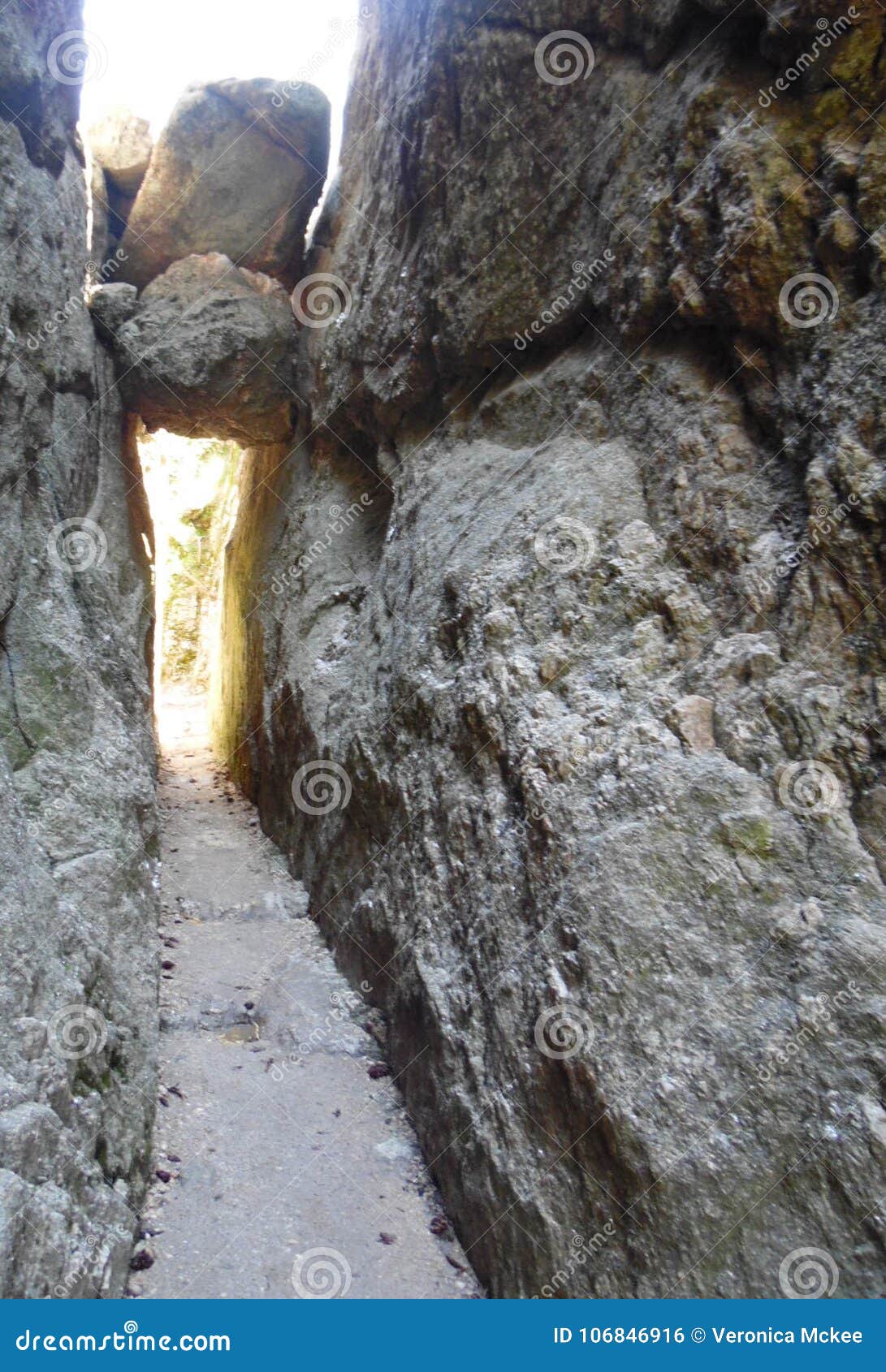 Pathway at Sylvan Lake in Custer State Park Stock Photo - Image of ...