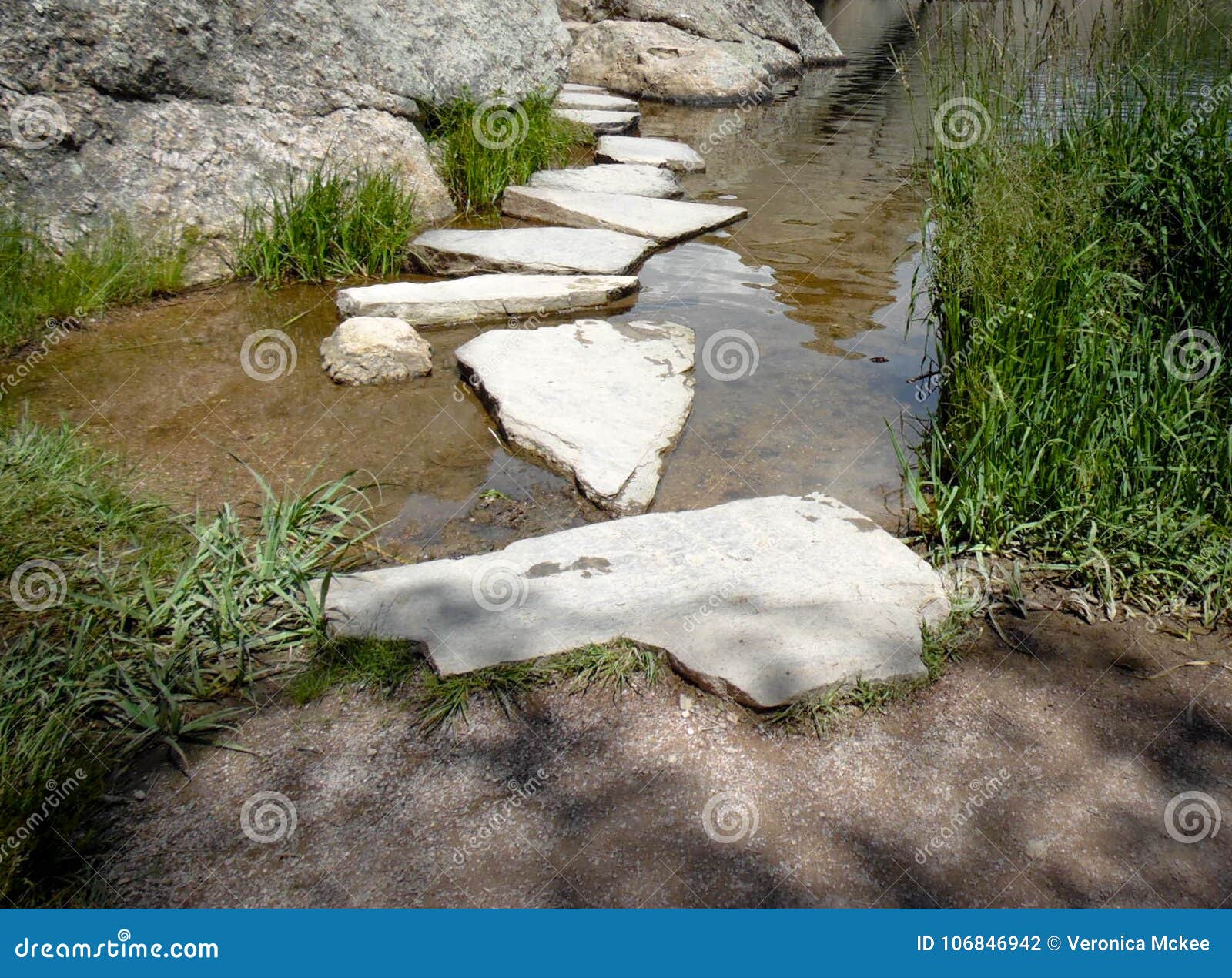 Pathway at Sylvan Lake in South Dakota Stock Photo - Image of sullivan ...