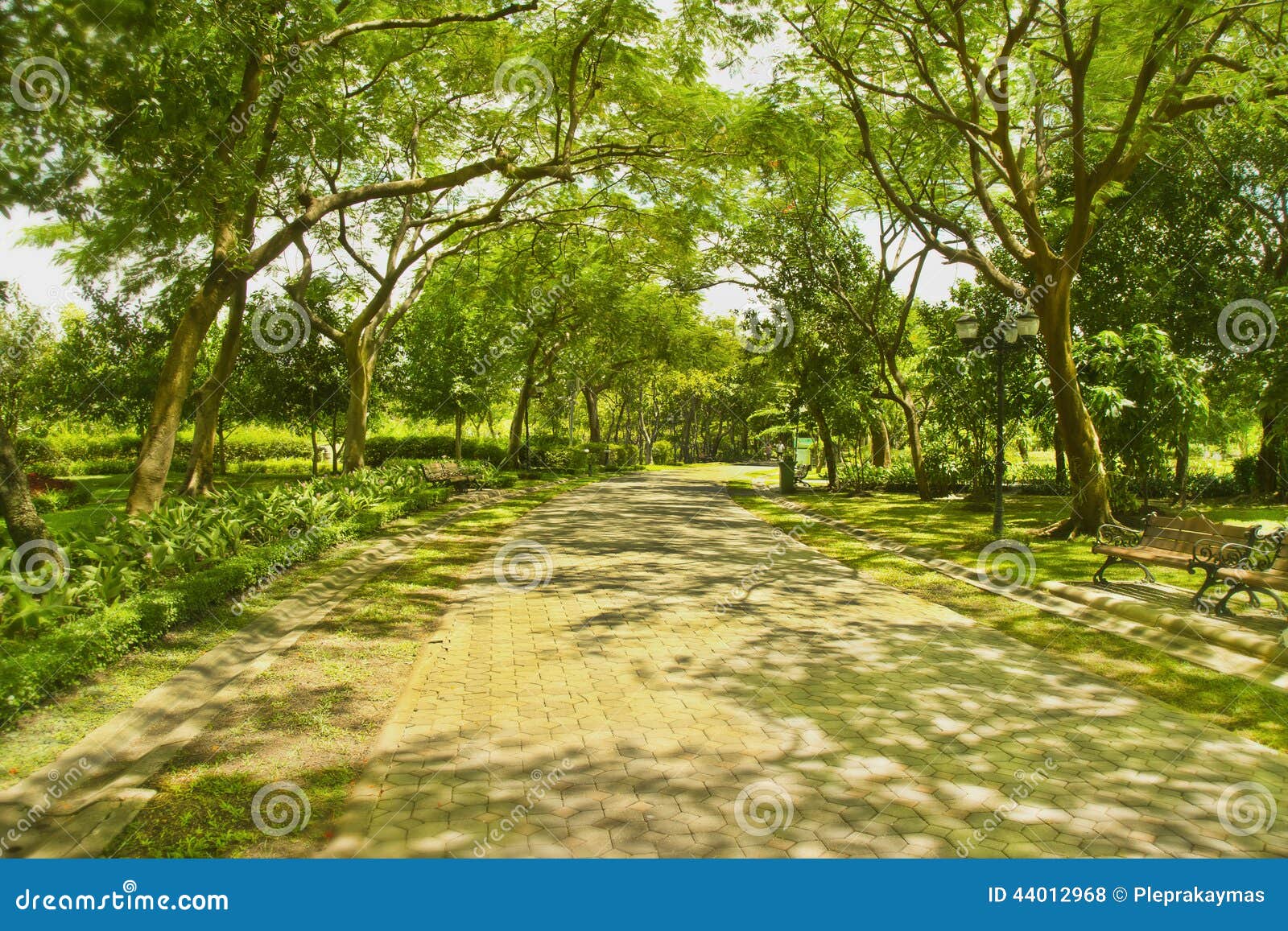 Pathway with sunlight stock photo. Image of natural, thailand - 44012968