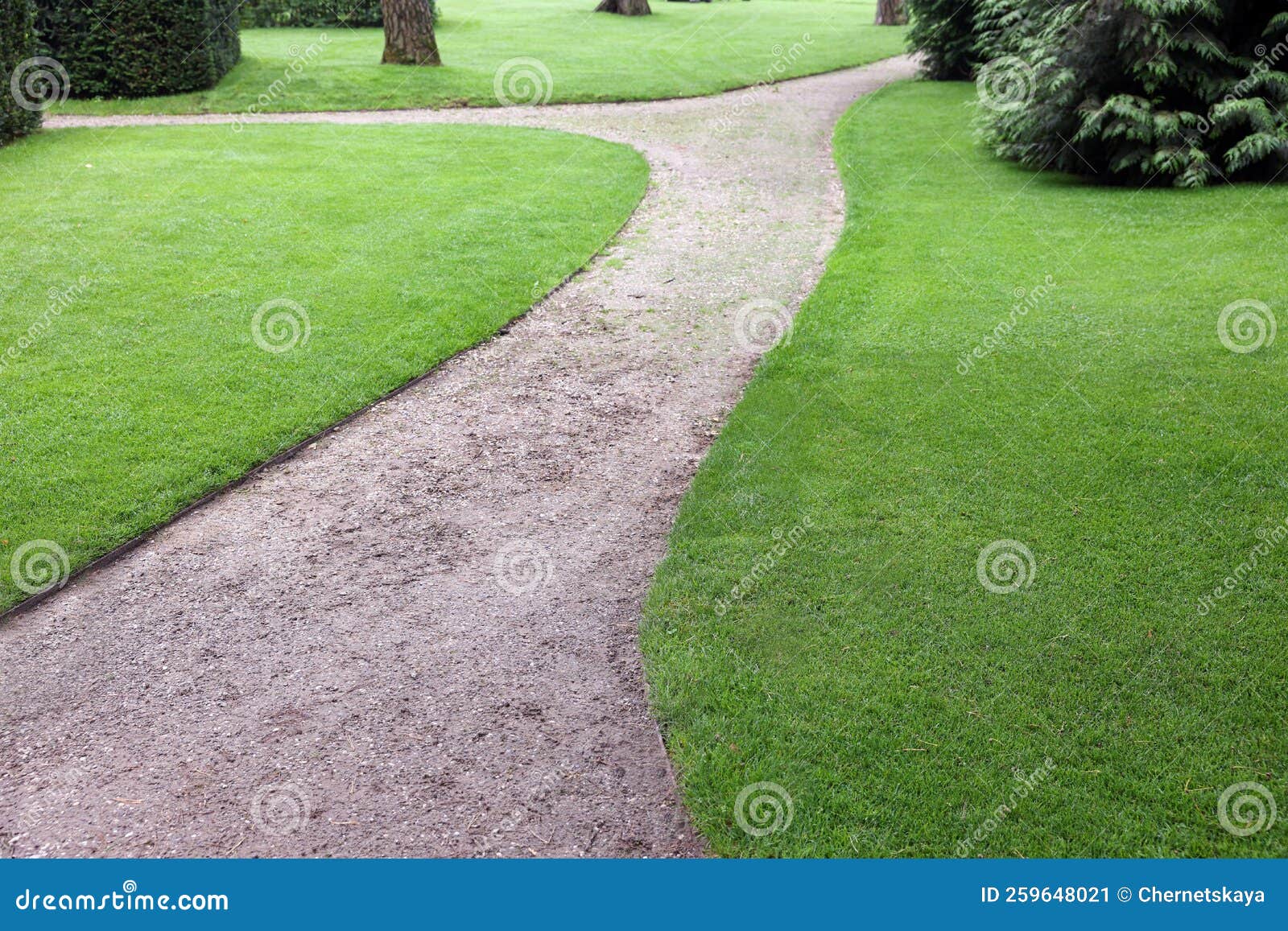 Pathway Surrounded by Beautiful Green Lawn Outdoors. Landscape Design ...