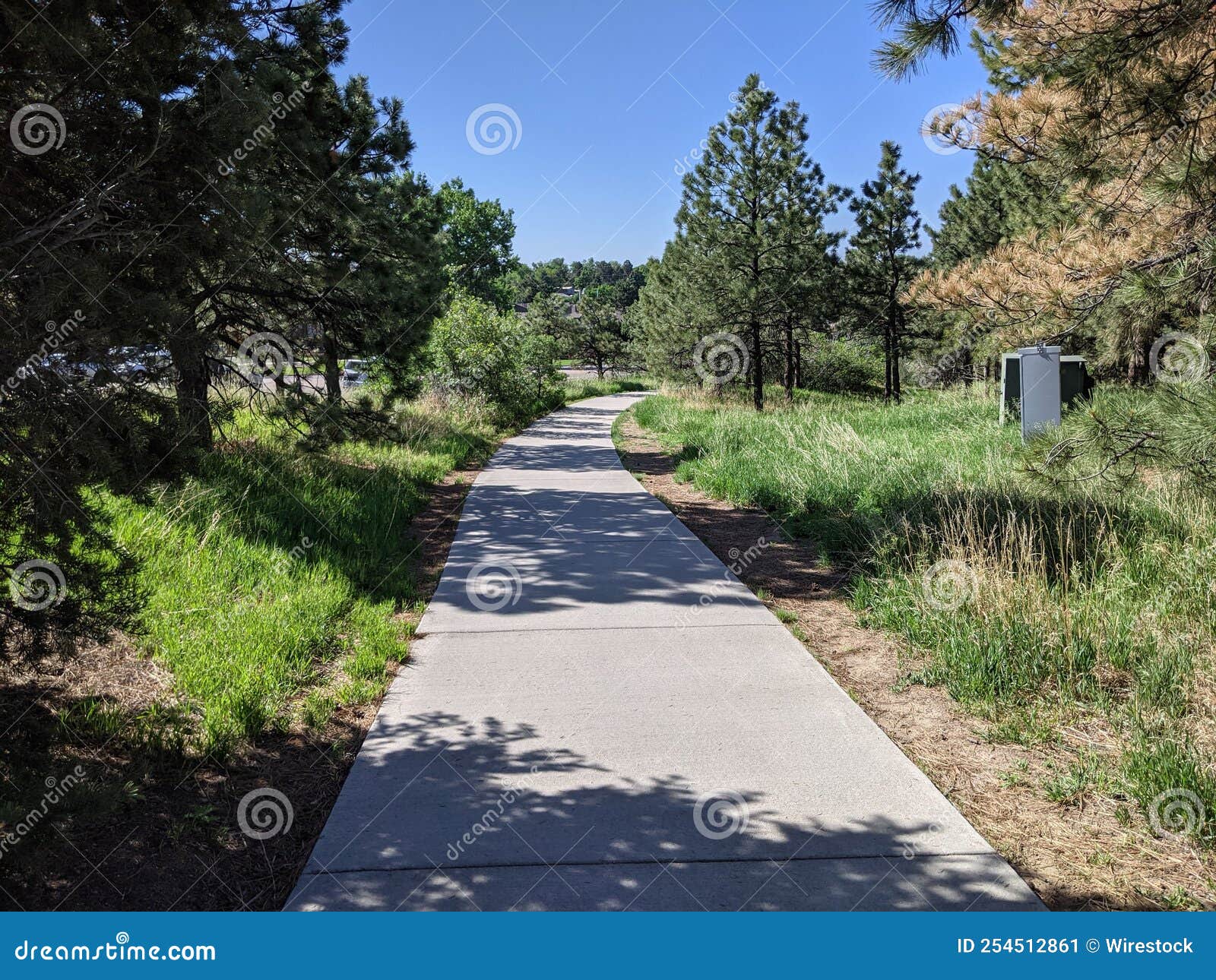 Pathway Surrounded by Grass and Trees on a Sunny Day Stock Image ...