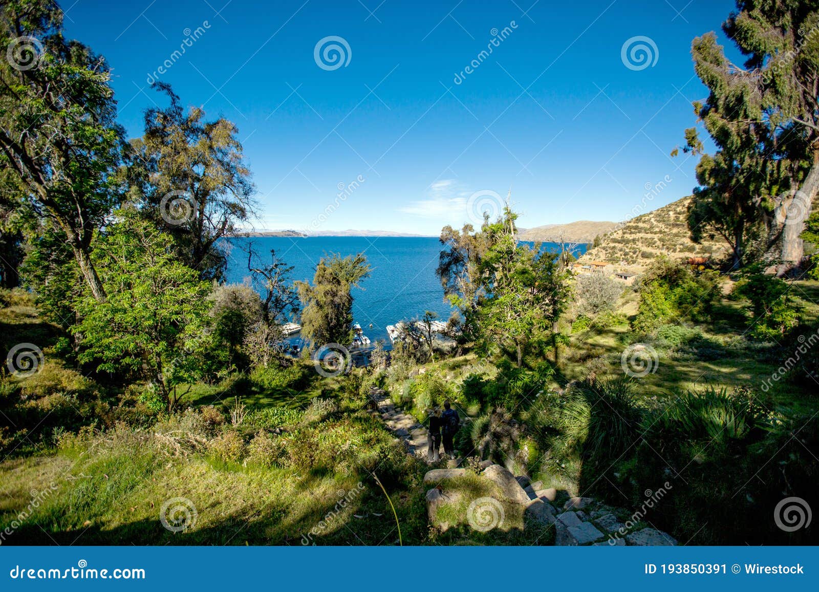 Pathway Surrounded by Greens and Trees Leading To the Ocean Stock Image ...