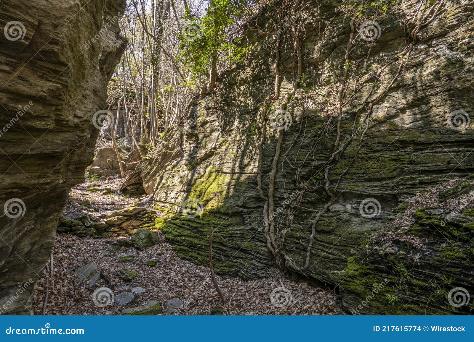 Pathway Surrounded by Rocky Cliffs Covered in Moss in the Park Stock ...