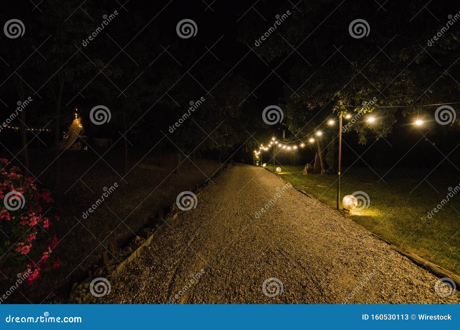 A Pathway Surrounded By Trees And Green Grass In A Park With Lighted ...