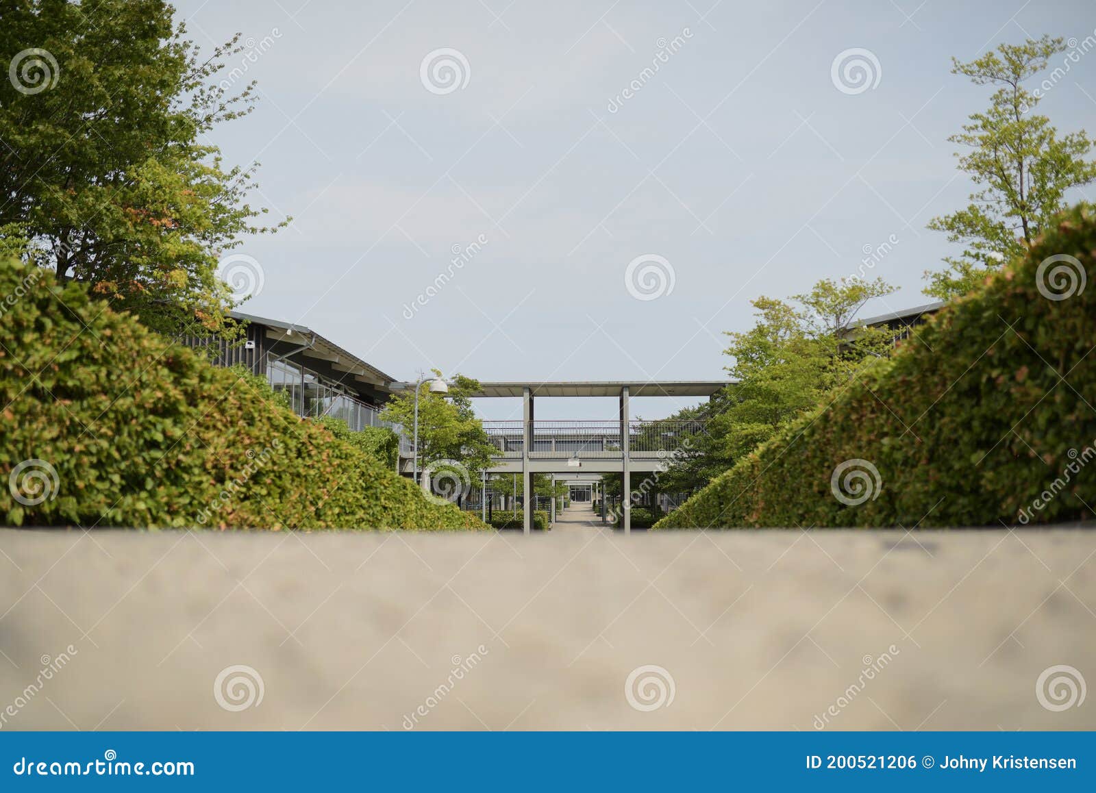 Pathway To An Apartment Building Main Entrance, Wooden Door And Window ...