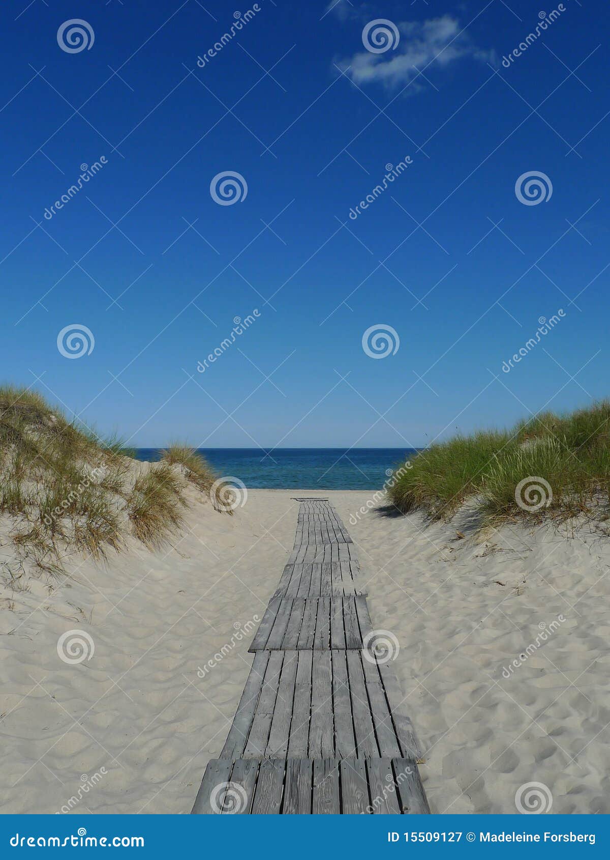 Pathway to the beach stock image. Image of nice, holiday - 15509127