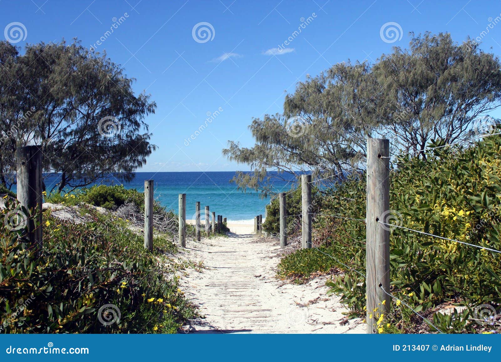 Pathway to the Beach stock image. Image of path, summer - 213407