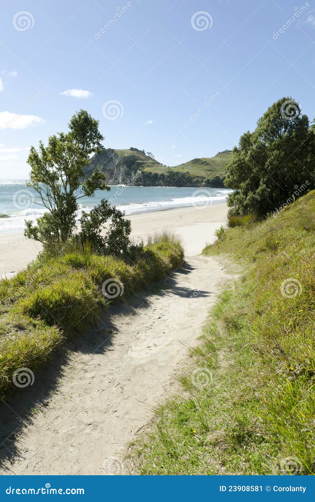 Pathway to beach stock image. Image of seascape, beautiful - 23908581